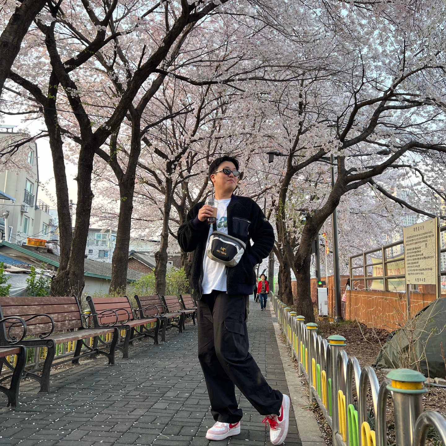 아앙 벚꽃 | KREAM