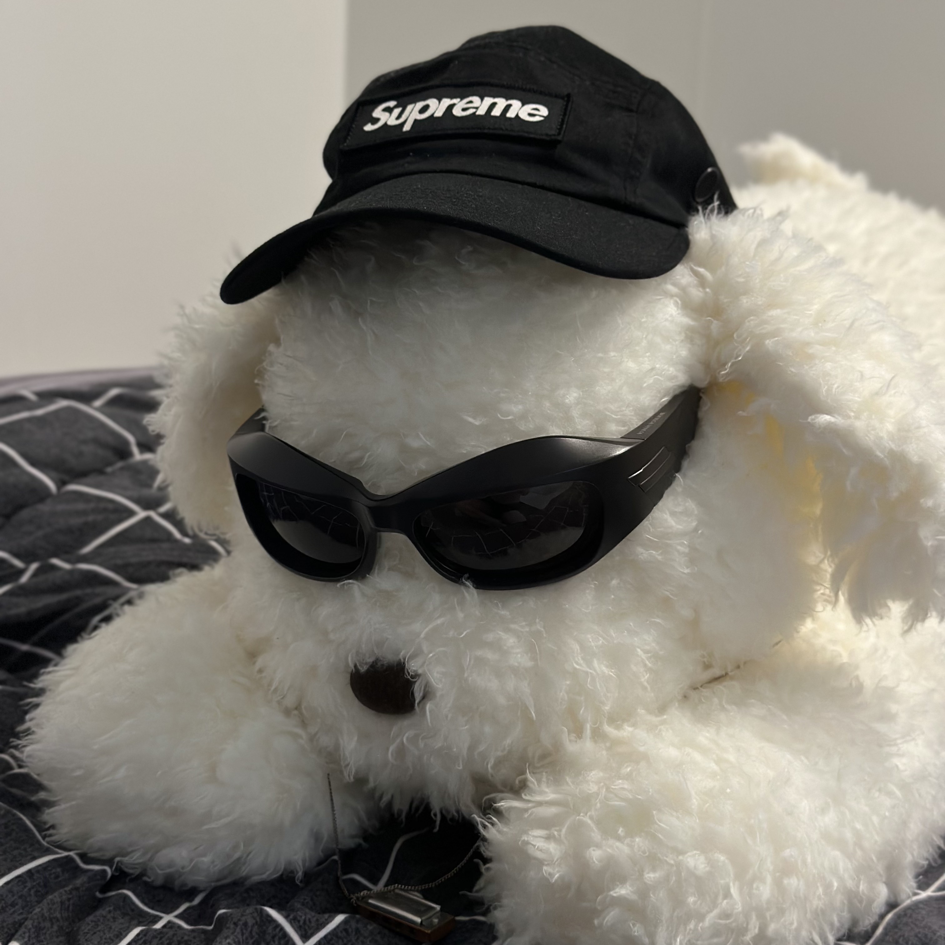 육동 (@hyeoni._.gg) 님의 게시물 | KREAM