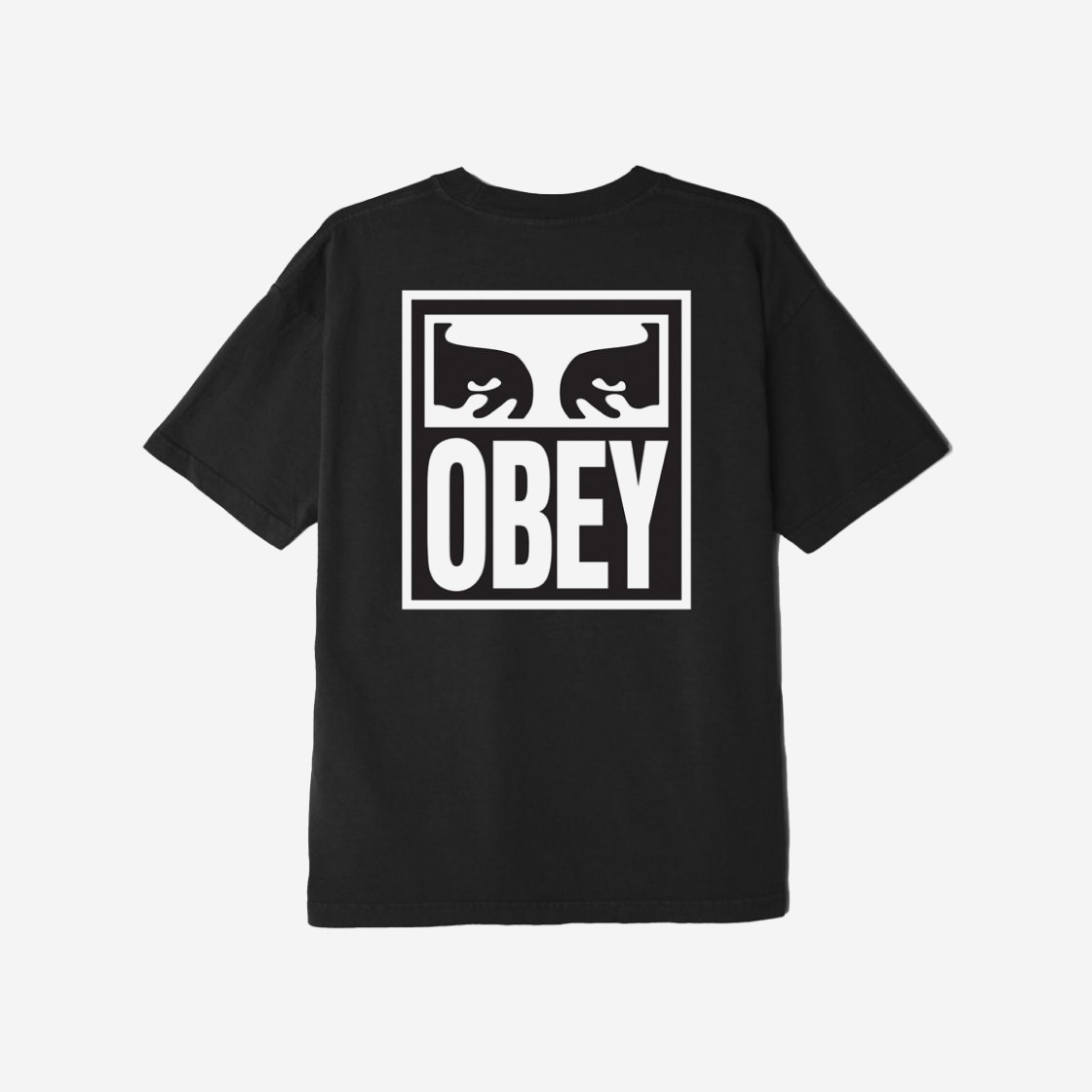 오베이 아이즈 아이콘 2 클래식 티셔츠 블랙 | Obey | KREAM