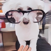 DIOR Boutique | KREAM