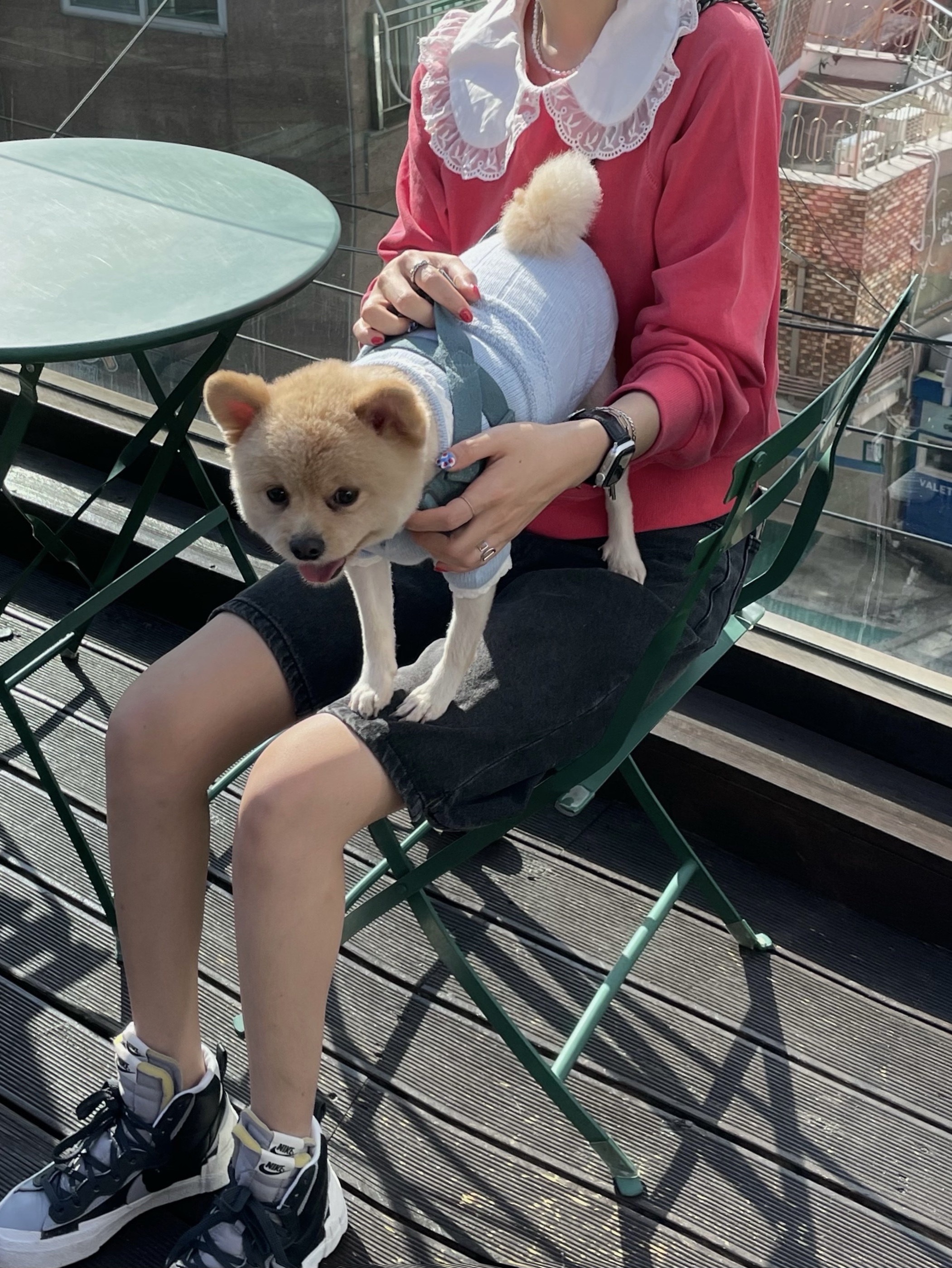 다영 (@dyo_ong) 님의 게시물 | KREAM