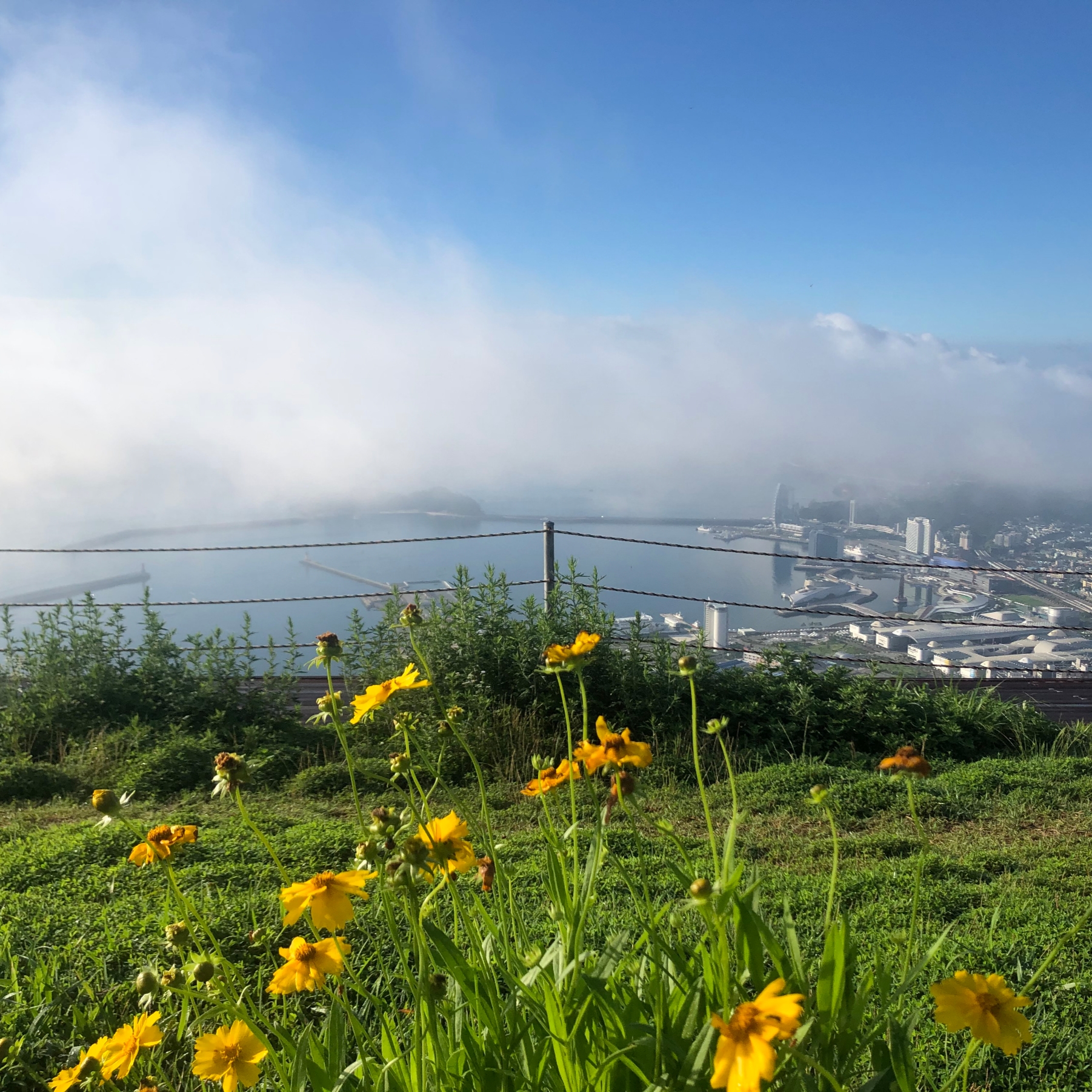 tom mad (@waterbank) 님의 게시물 | KREAM