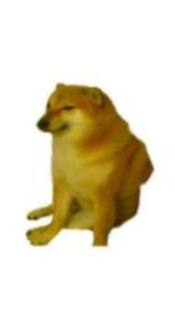 크파 (@oioioi218) 님의 게시물 | KREAM