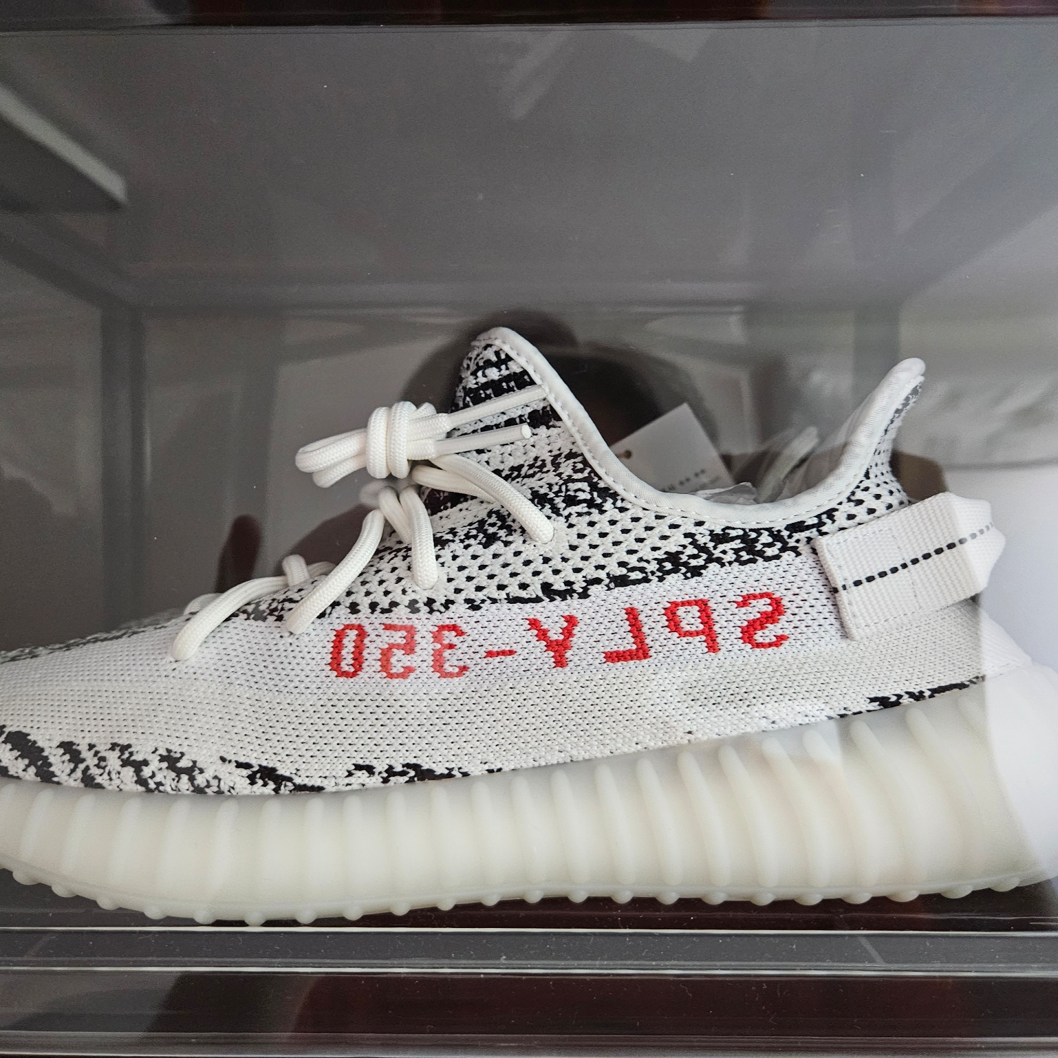 350은 역시 지브라 | KREAM