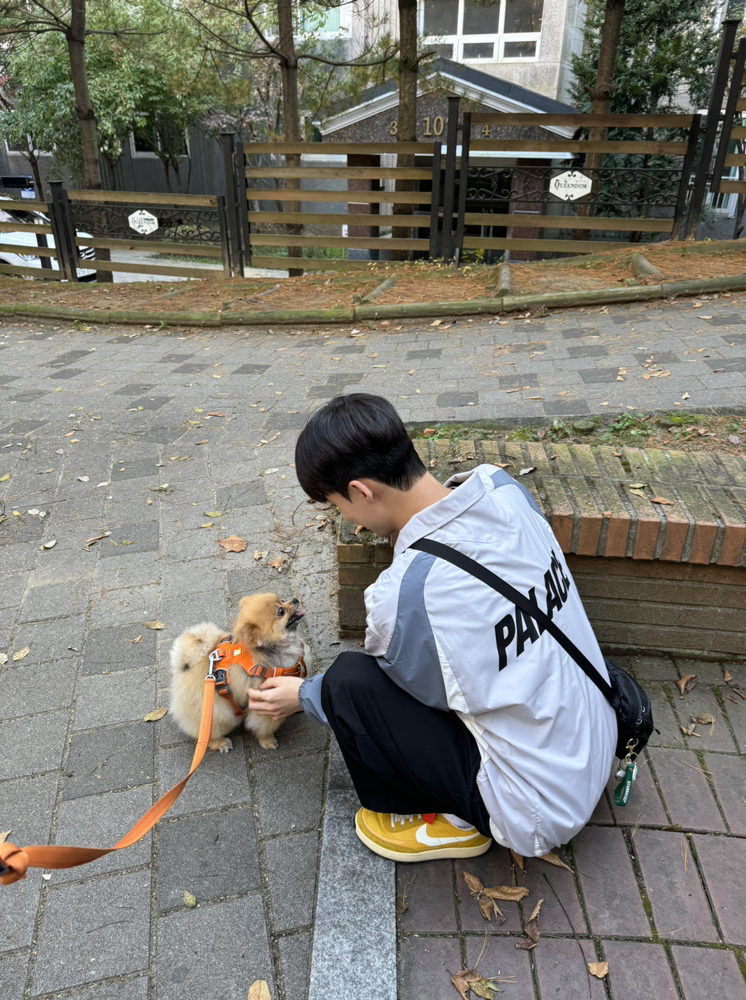 wldn2001 (@zoo__) 님의 게시물 | KREAM