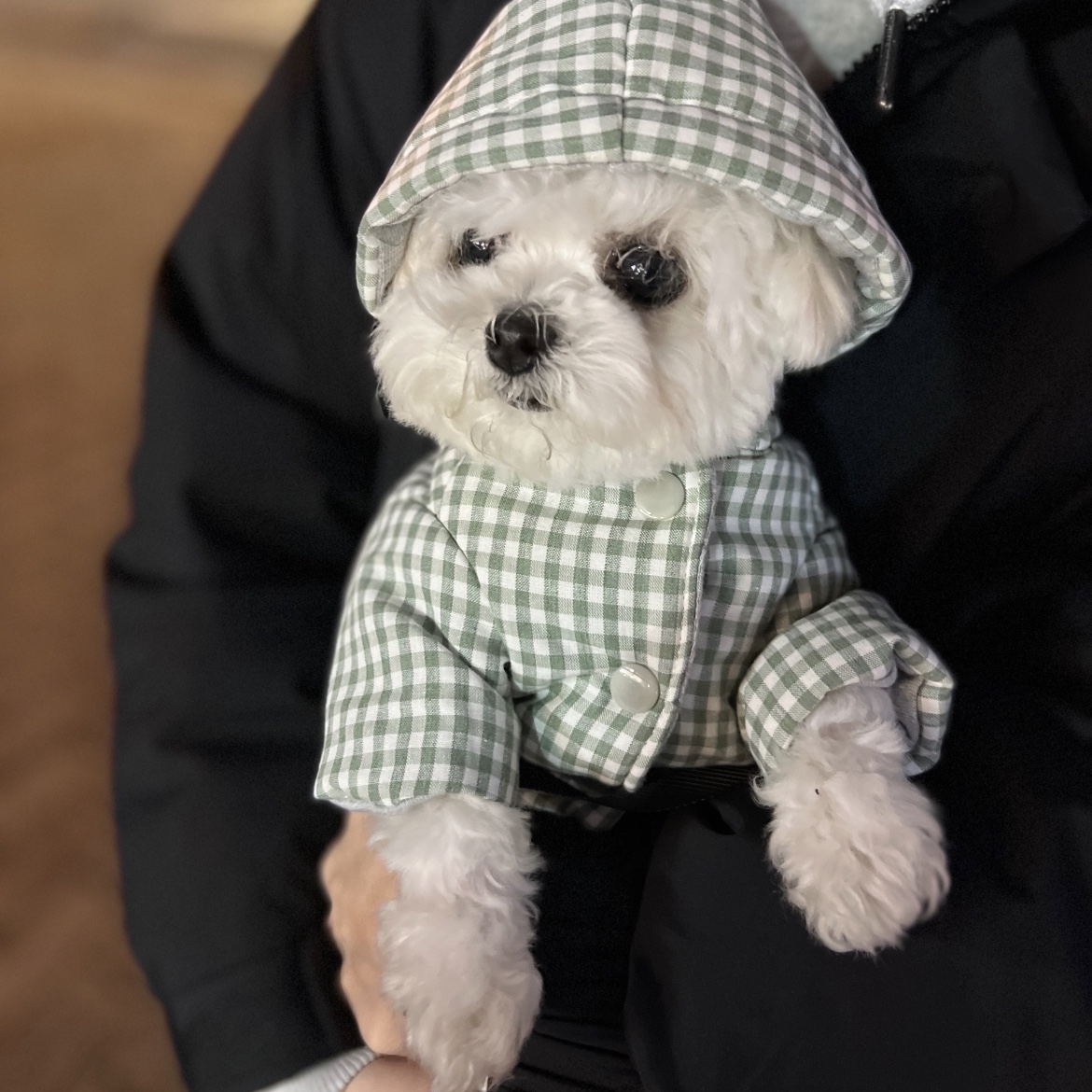 똥쓰 (@na_huya) 님의 게시물 | KREAM