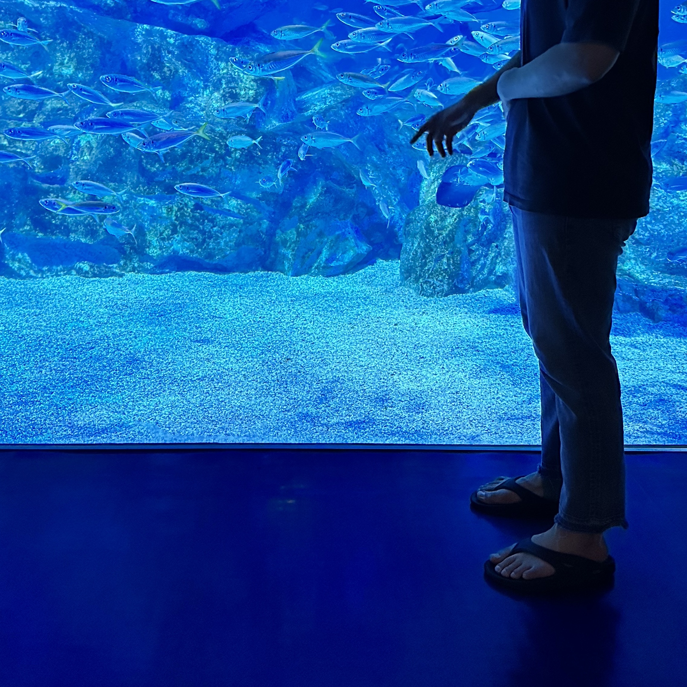 뿅 (@overrrun) 님의 게시물 | KREAM