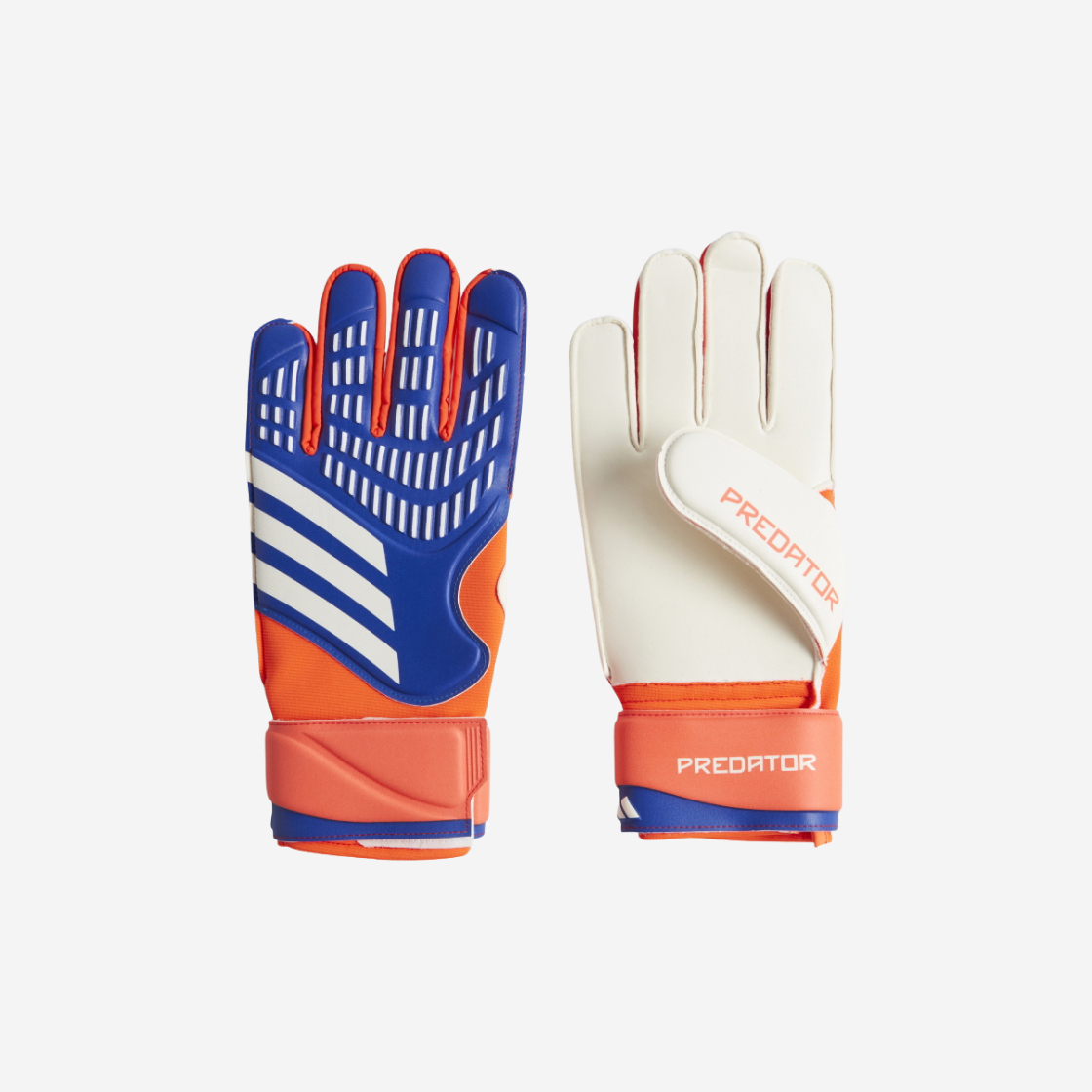아디다스 프레데터 매치 골키퍼 글러브 루시드 블루 | Adidas | KREAM