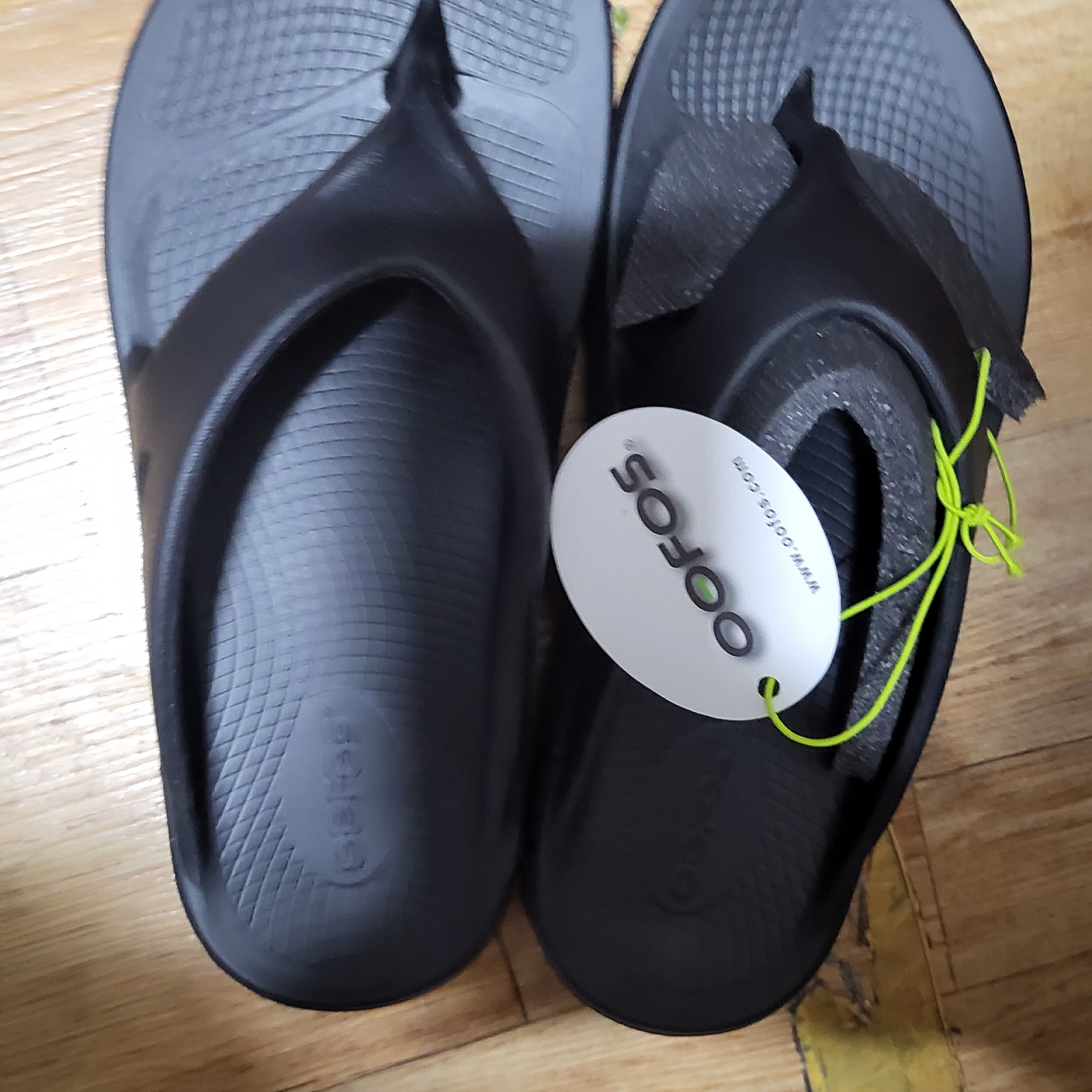 남자 평소 250 사이즈 신는데, | KREAM