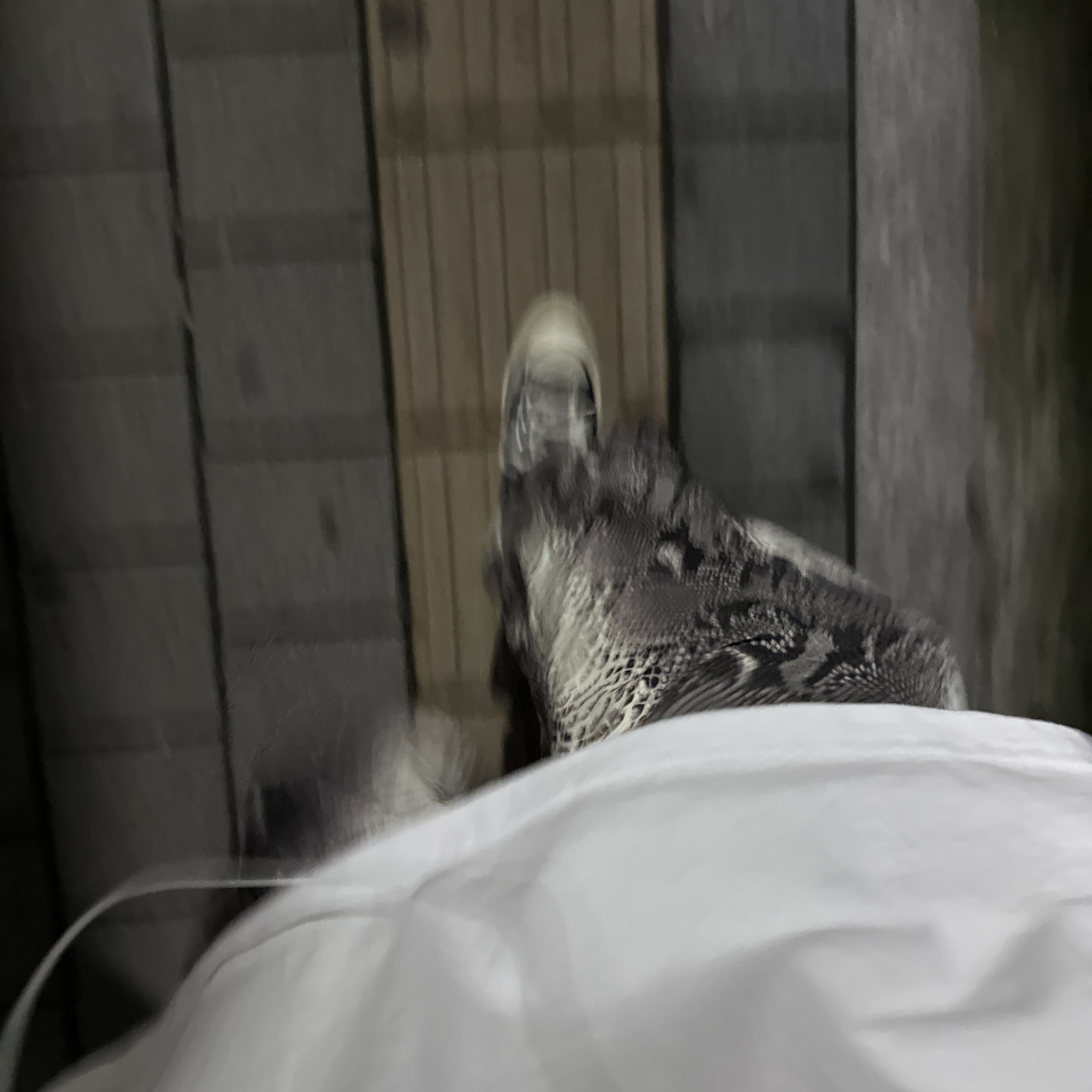 (@sss__) 님의 게시물 | KREAM