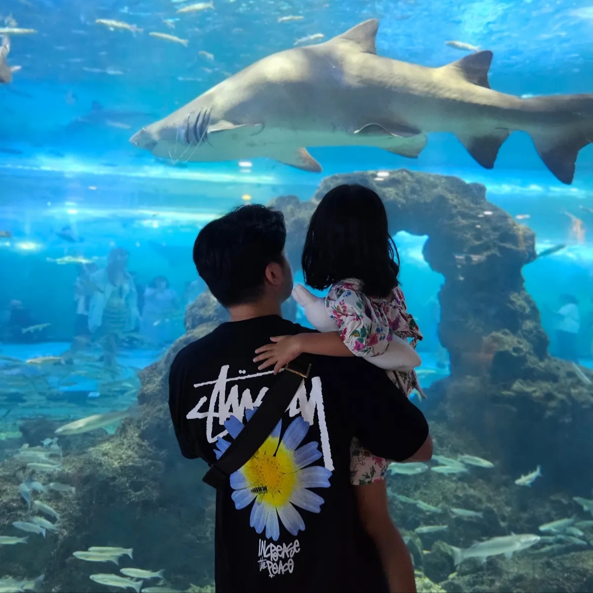 san**** (@mn6votzb) 님의 게시물 | KREAM