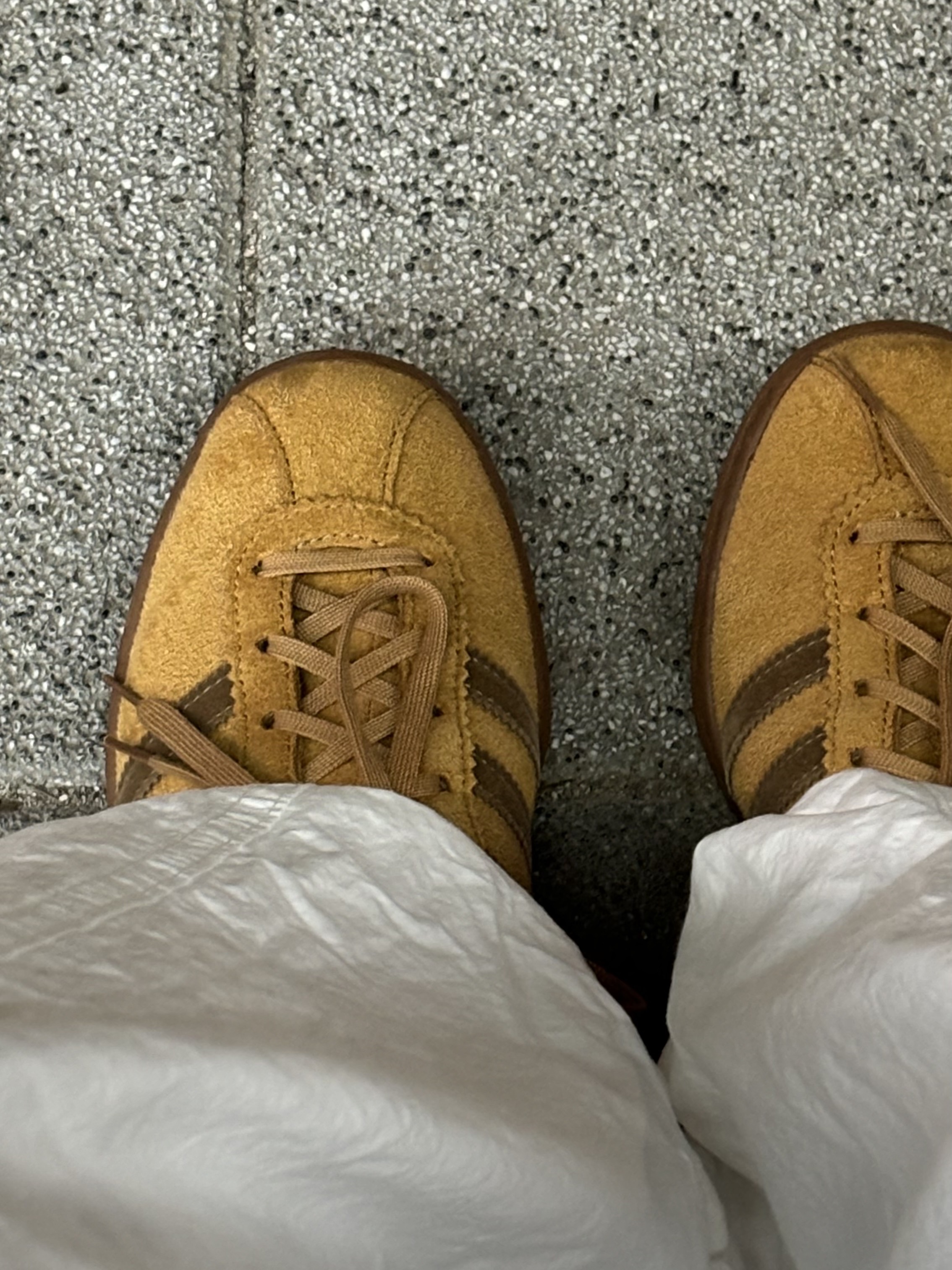 창하 (@h.ch.24) 님의 게시물 | KREAM