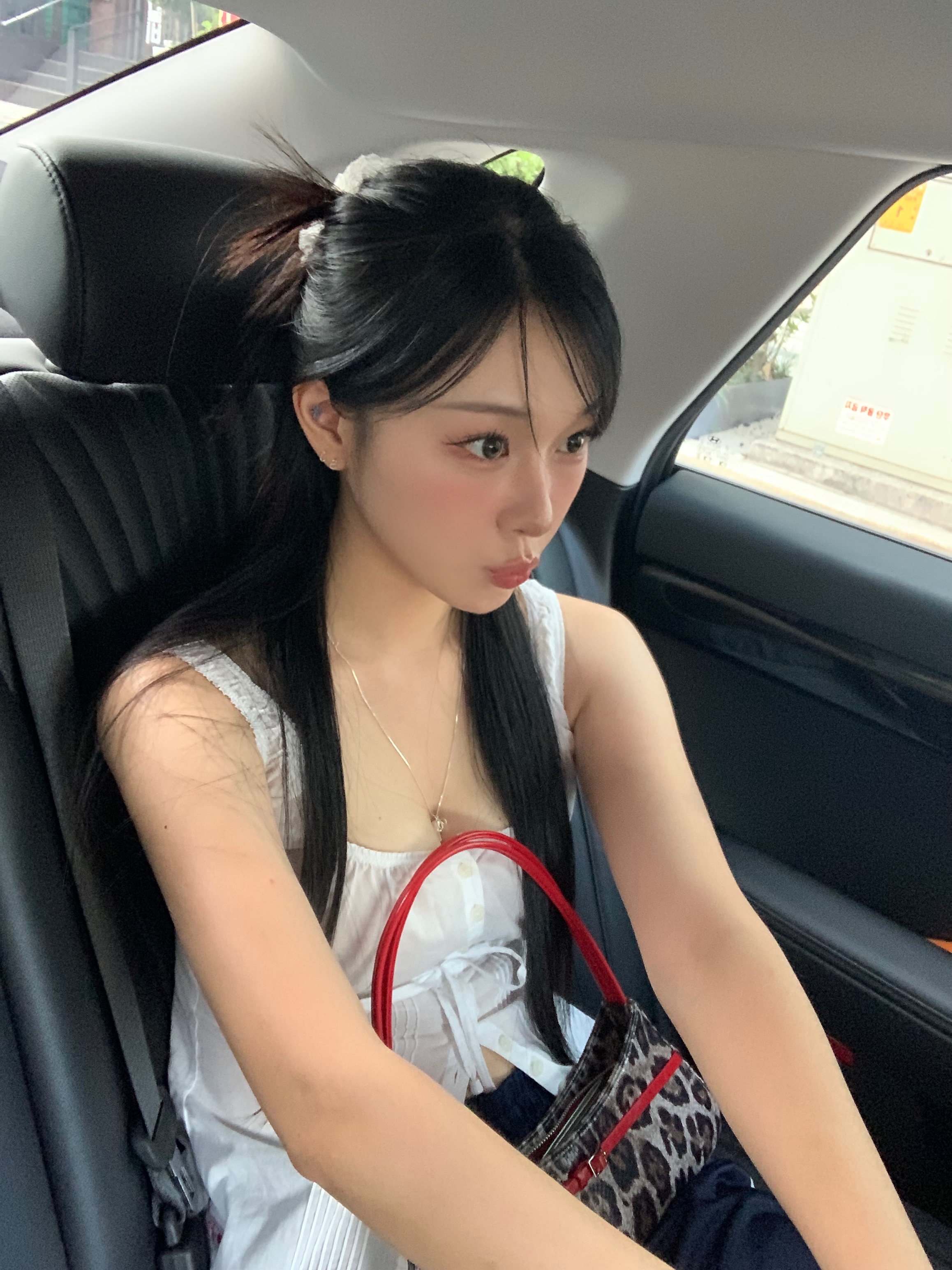 파이어버드 🍁 | KREAM