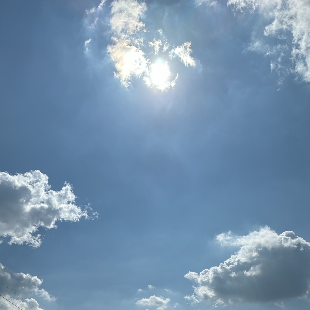 173 71 m 여유있게 넉넉해요 | KREAM