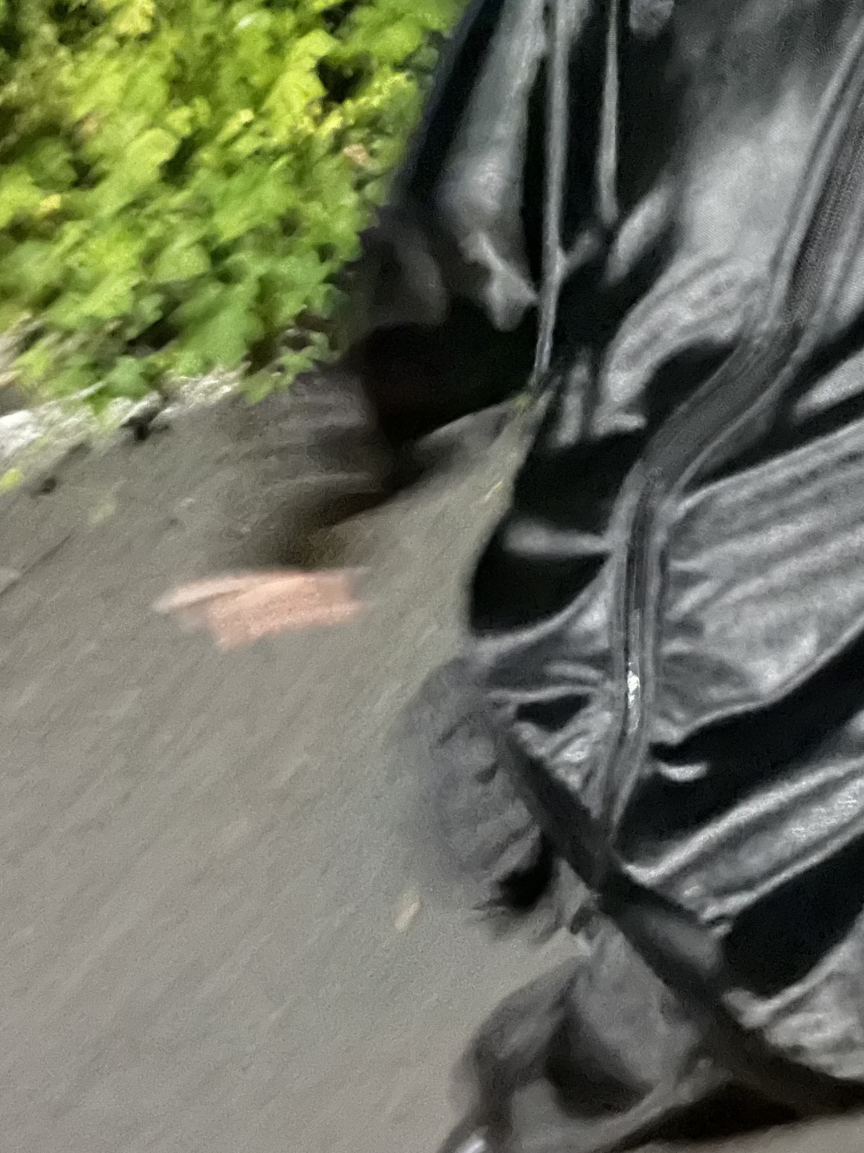 realcdh (@1o31a8) 님의 게시물 | KREAM