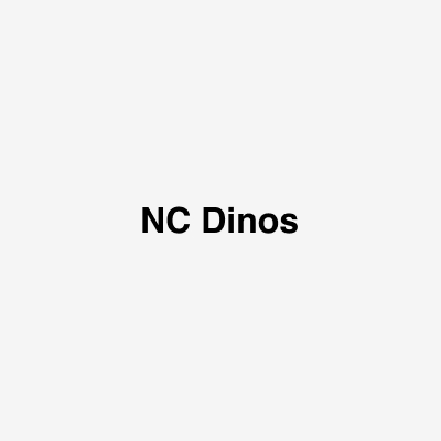 NC Dinos | KREAM