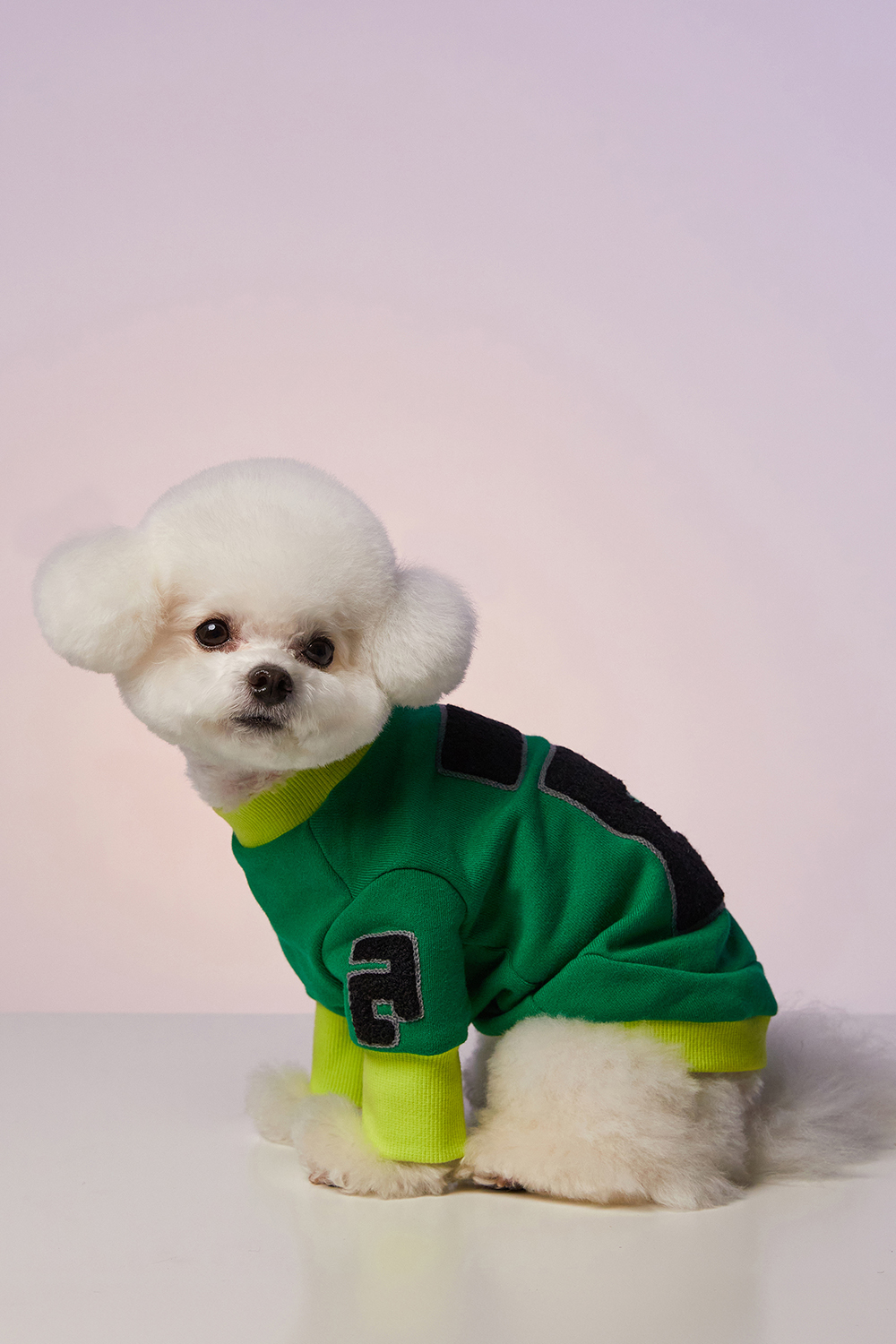 아루마루 펫 A 부클 스웻셔츠그린 | arumaru | KREAM