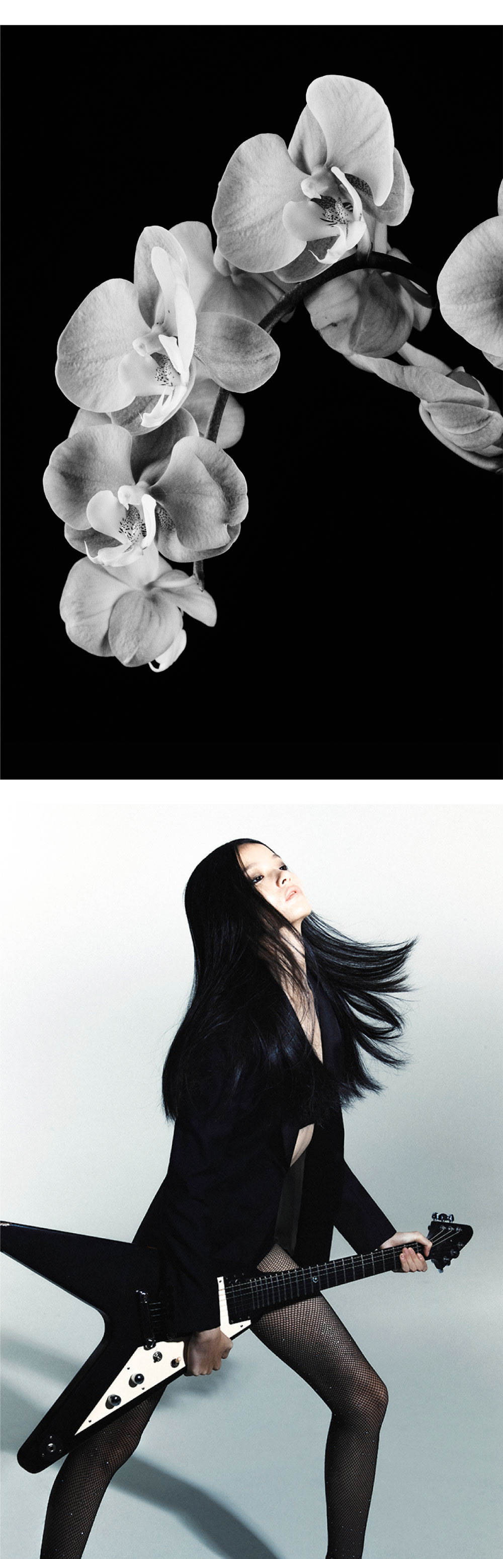 나디스 퍼퓸 핸드밤 백인블랙 50ML | Nardis | KREAM