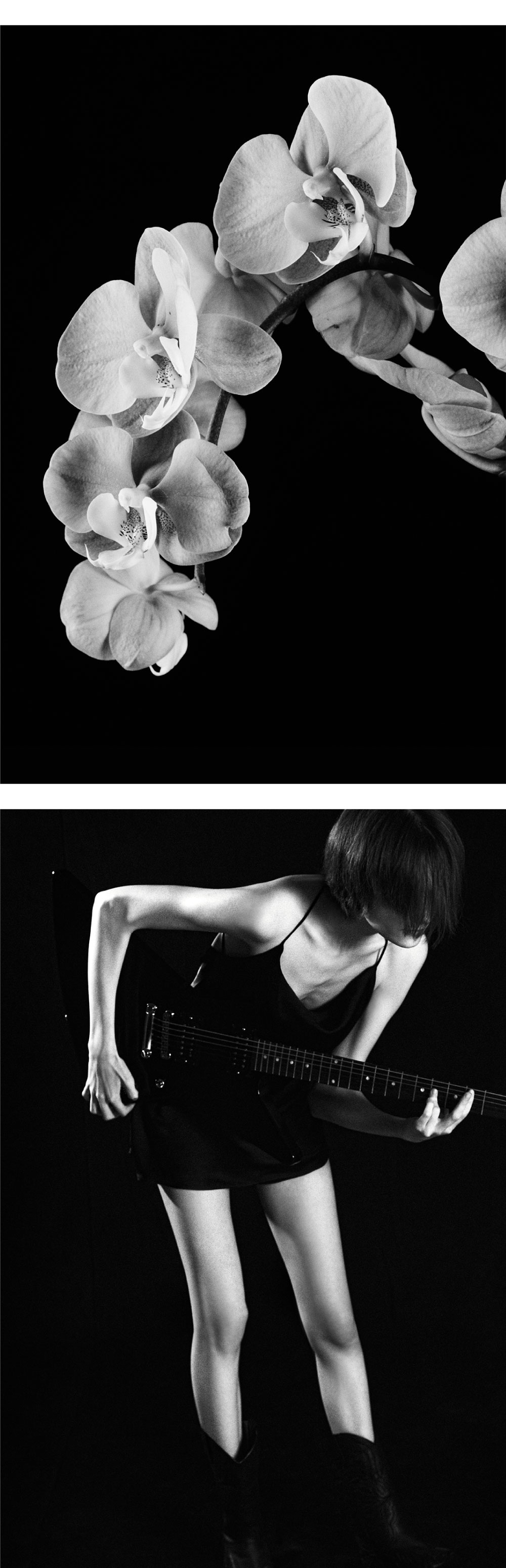 나디스 퍼퓸 백인블랙 30ML | Nardis | KREAM