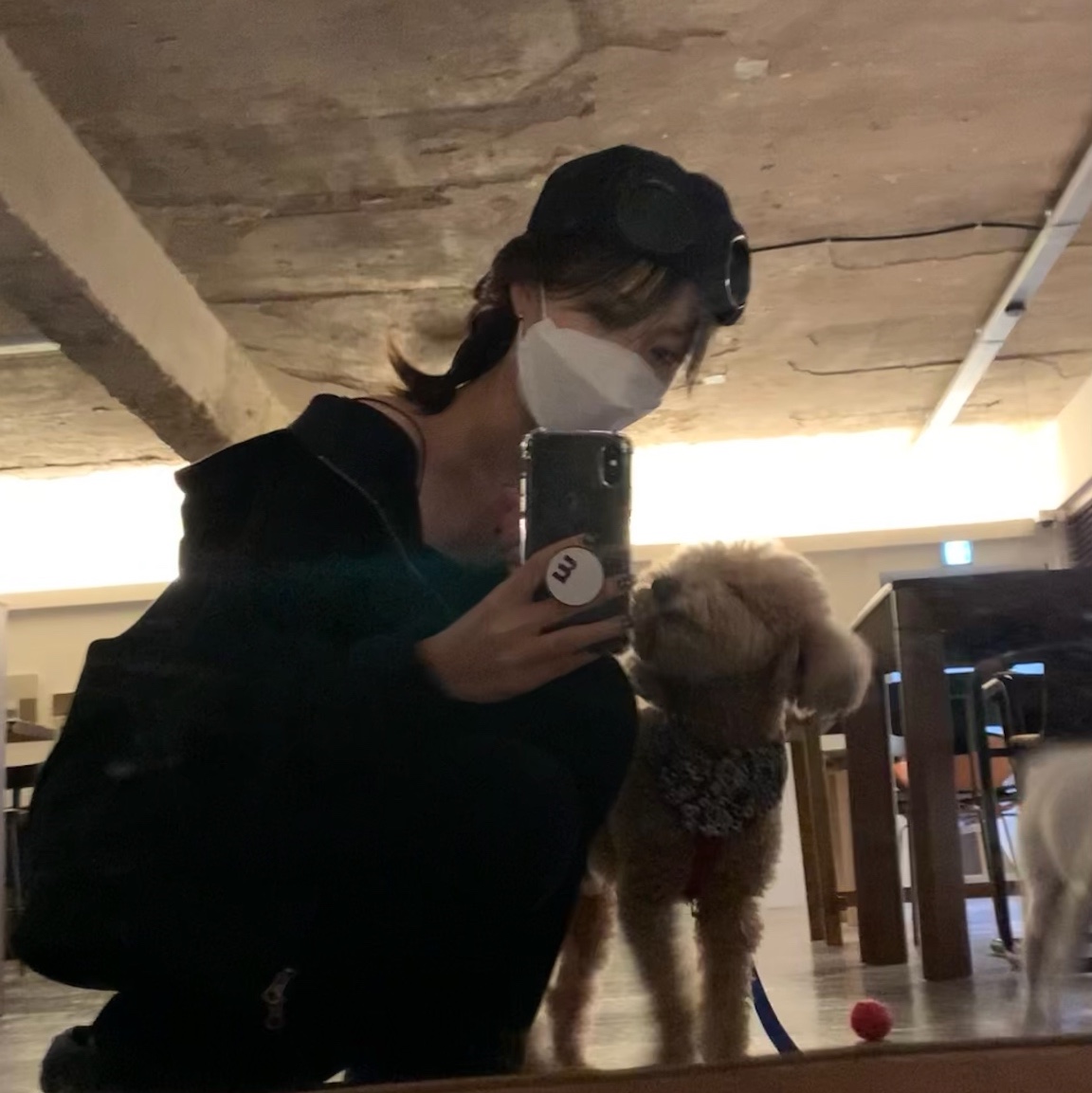 (@lovef8l) 님의 게시물 | KREAM