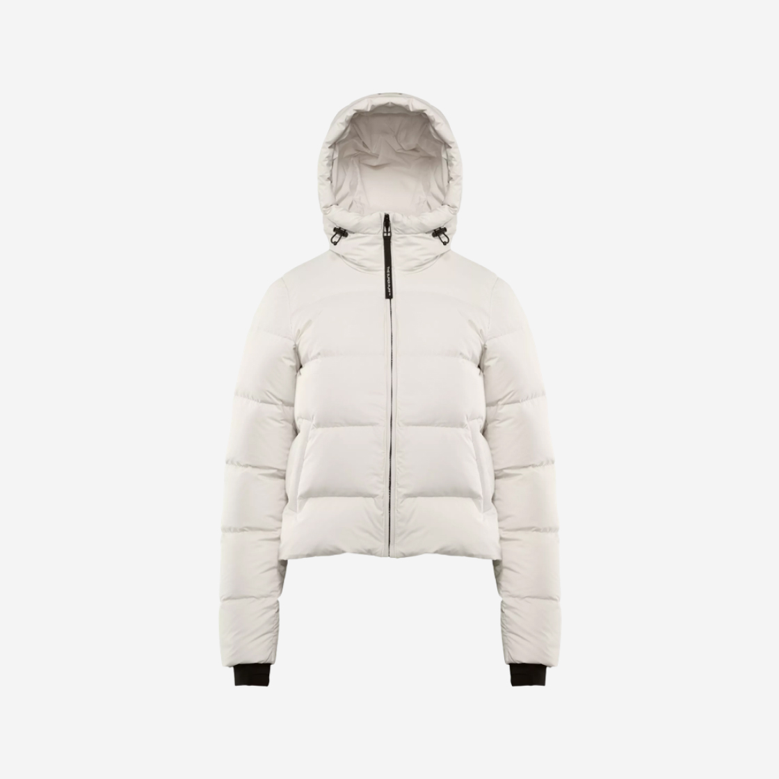 (W) 아리찌아 더 슈퍼 미니 퍼프 후디 클라이매트 구스 다운 후디 미니 퍼퍼 자켓 매트 펄 | Aritzia | KREAM
