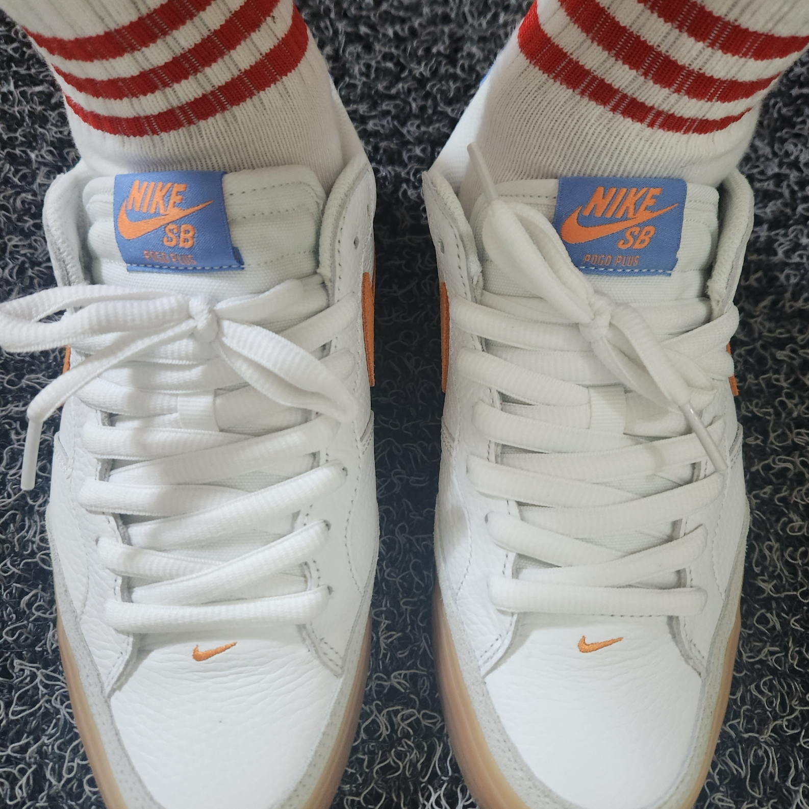 나이키sb 줌 포고 프리미엄보드화 | KREAM