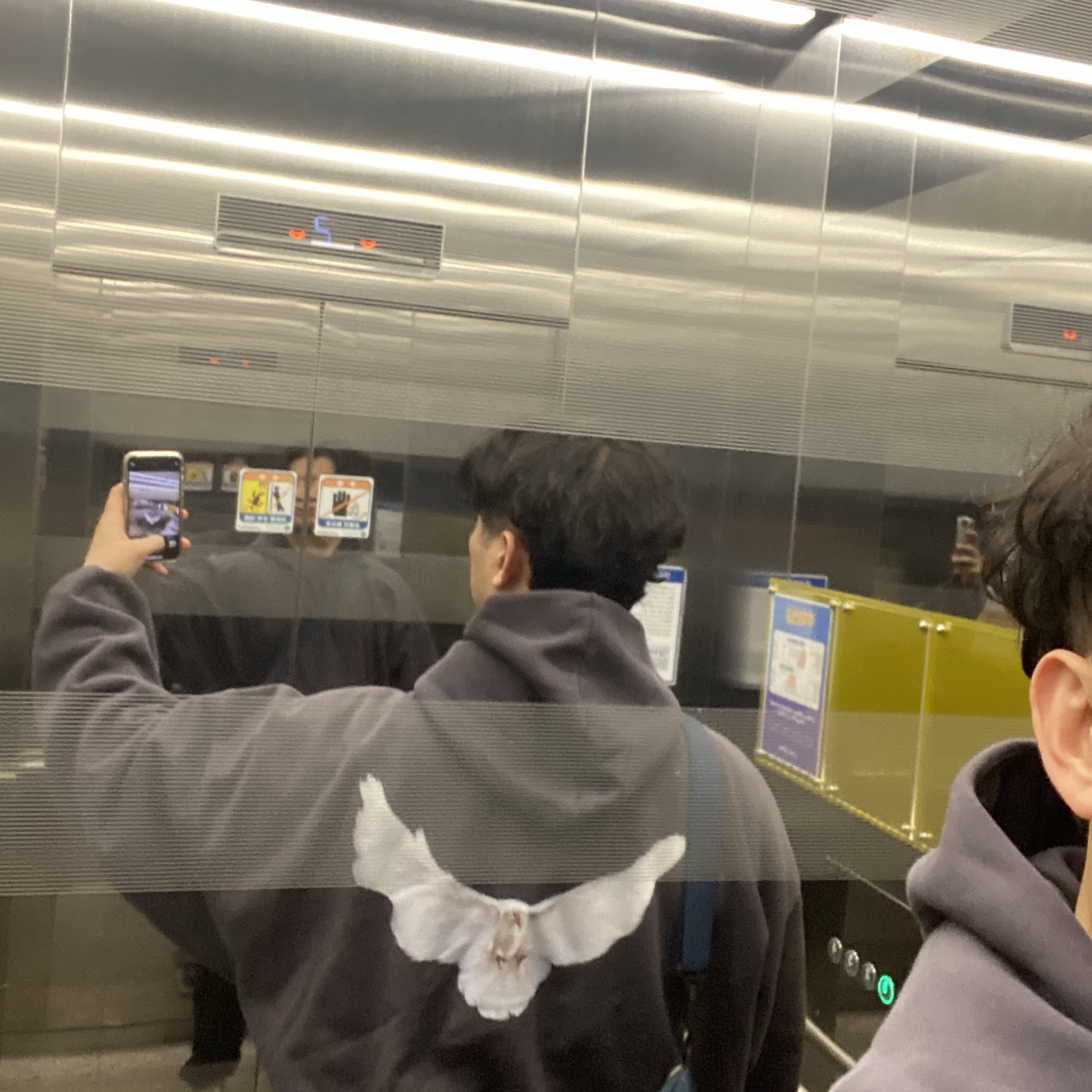 186.100 라지 | KREAM