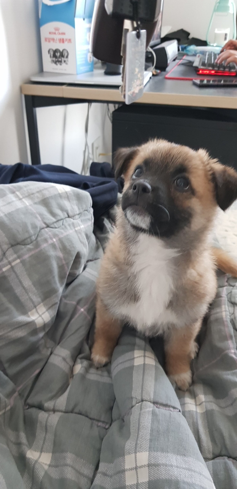 sjs20642 (@sonji_su) 님의 게시물 | KREAM