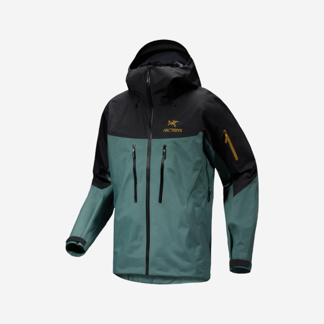 아크테릭스 알파 SV 자켓 다크 매직 | Arc'teryx | KREAM