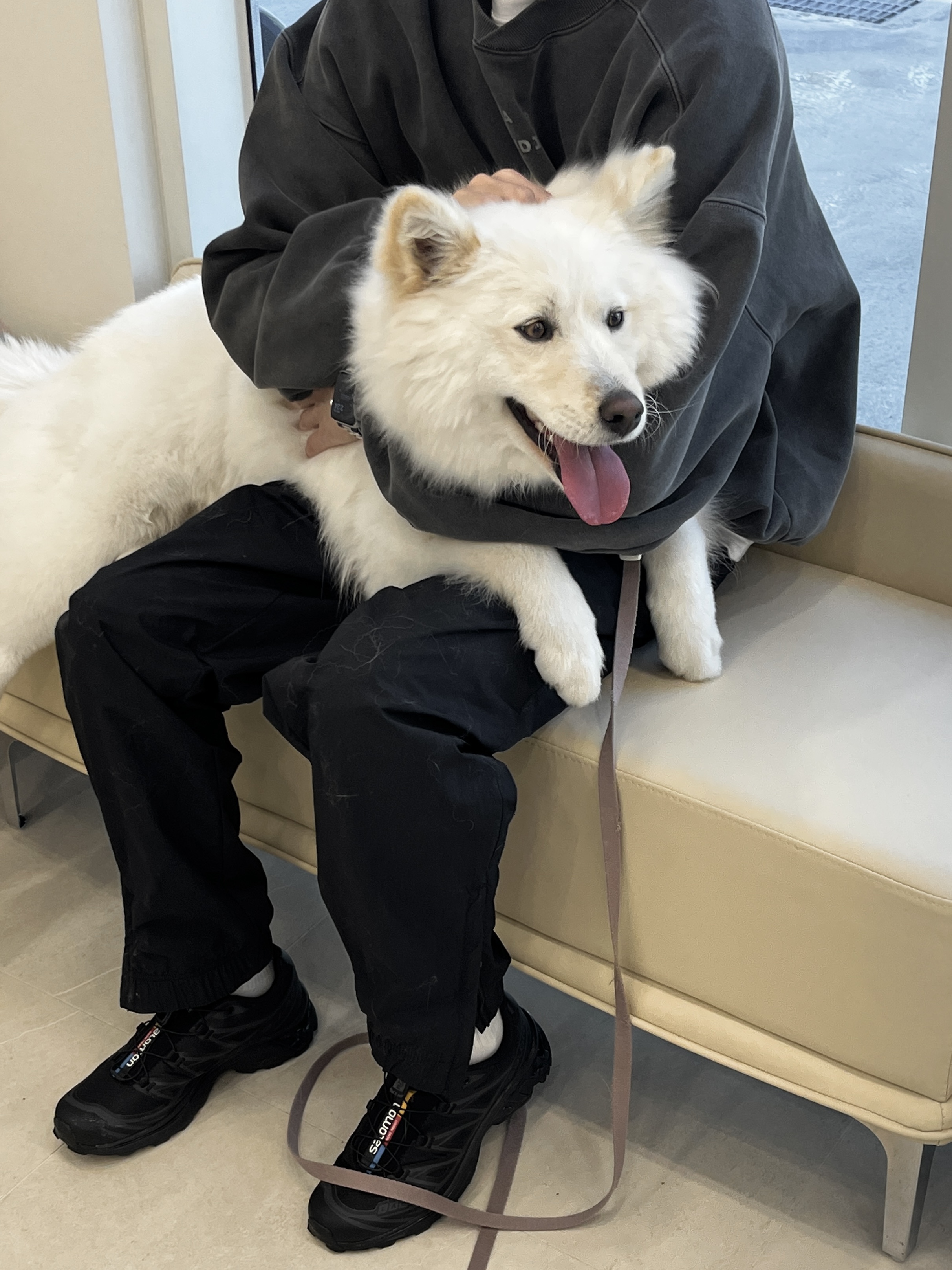 지민 (@jimn__y) 님의 게시물 | KREAM