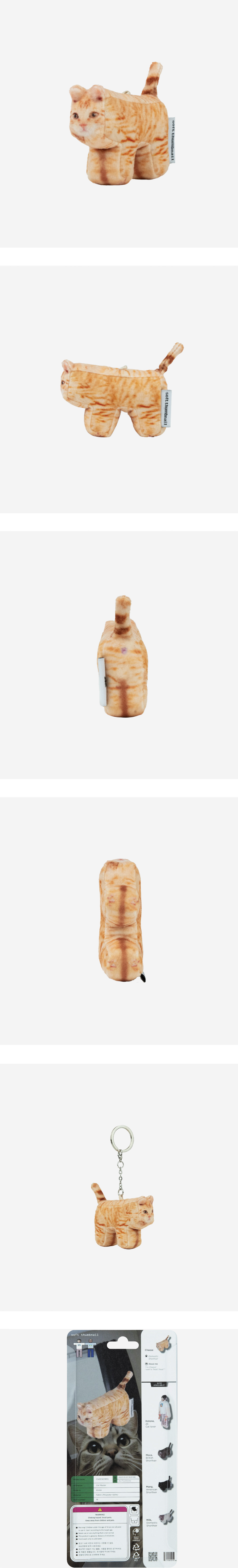 소프트섬네일 치즈, 도메스틱 숏헤어 | Soft Thumbnail | KREAM