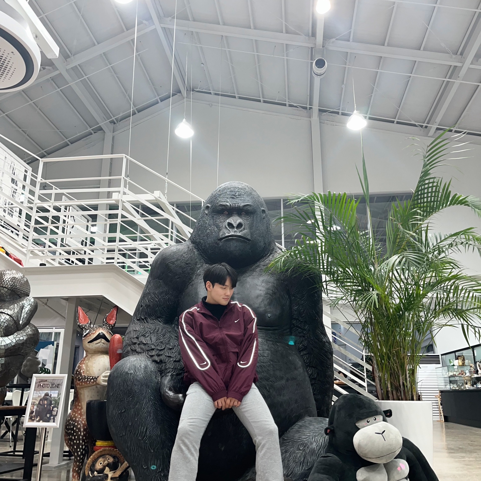 junyoung020215 (@0215_wd) 님의 게시물 | KREAM