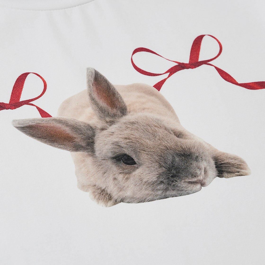 에프에이디 스위티 그래픽 알.레빗 티셔츠 화이트 | FAD | KREAM