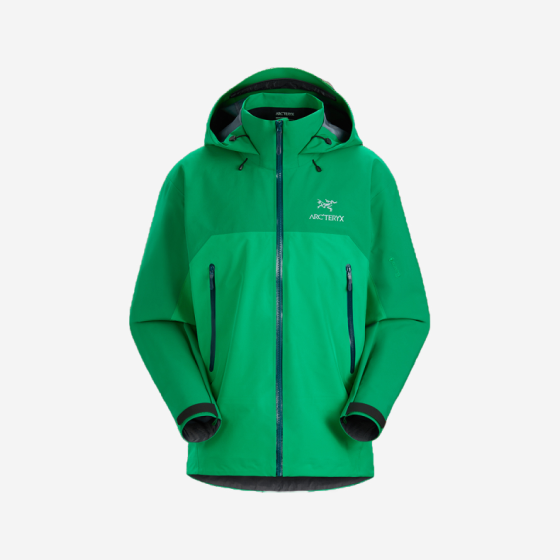 아크테릭스 베타 AR 자켓 정글 | Arc'teryx | KREAM