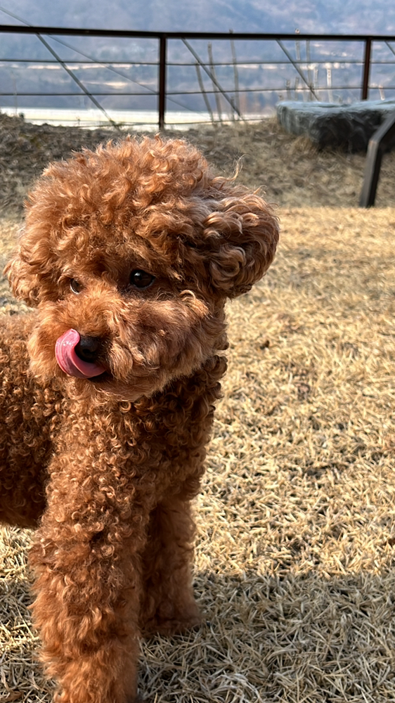 cjha16541 (@j_hyeon.2) 님의 게시물 | KREAM