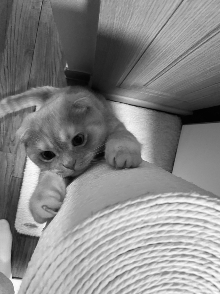 (@gumasis) 님의 게시물 | KREAM