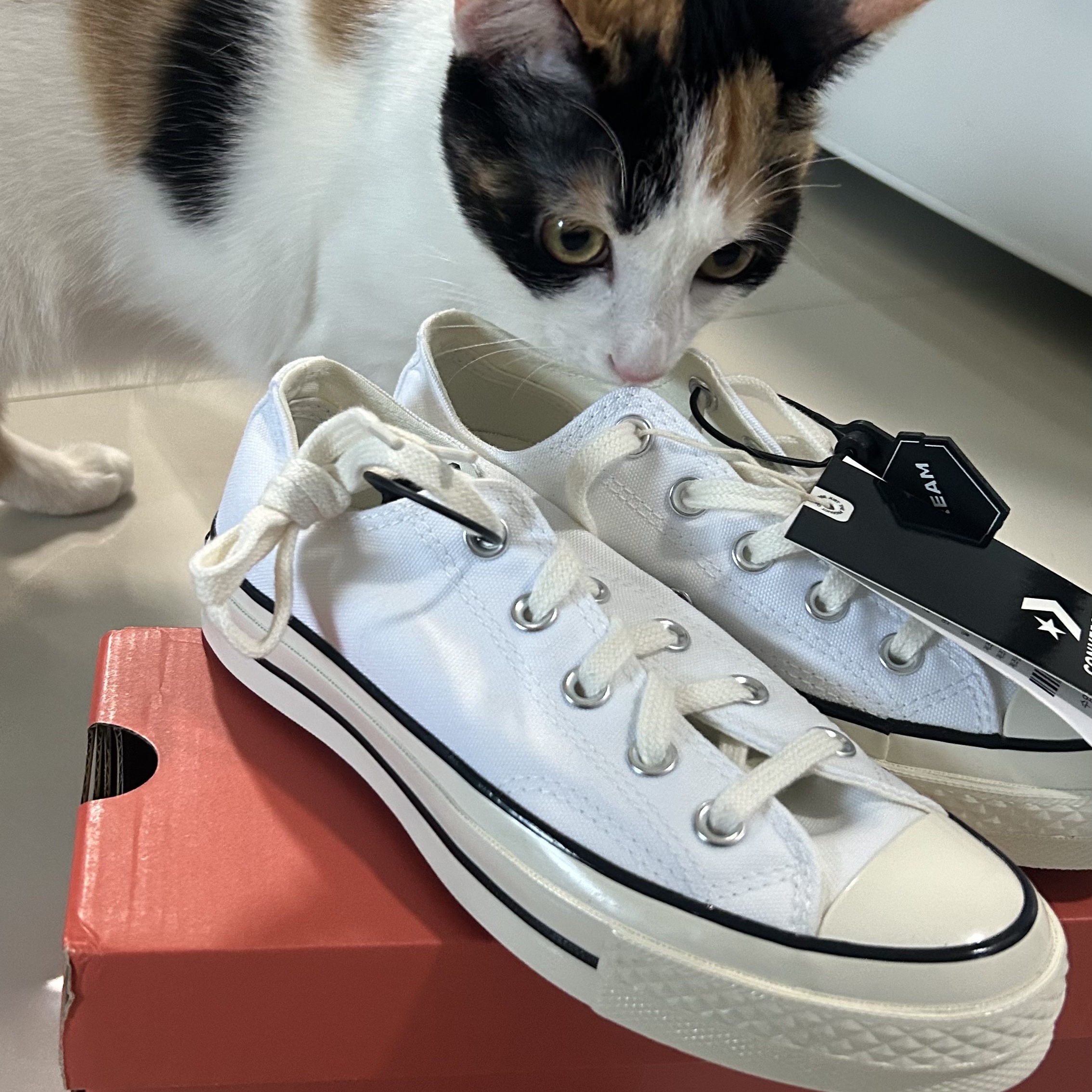 고먀미가 노리는 컨버스 척70 겟또 | KREAM