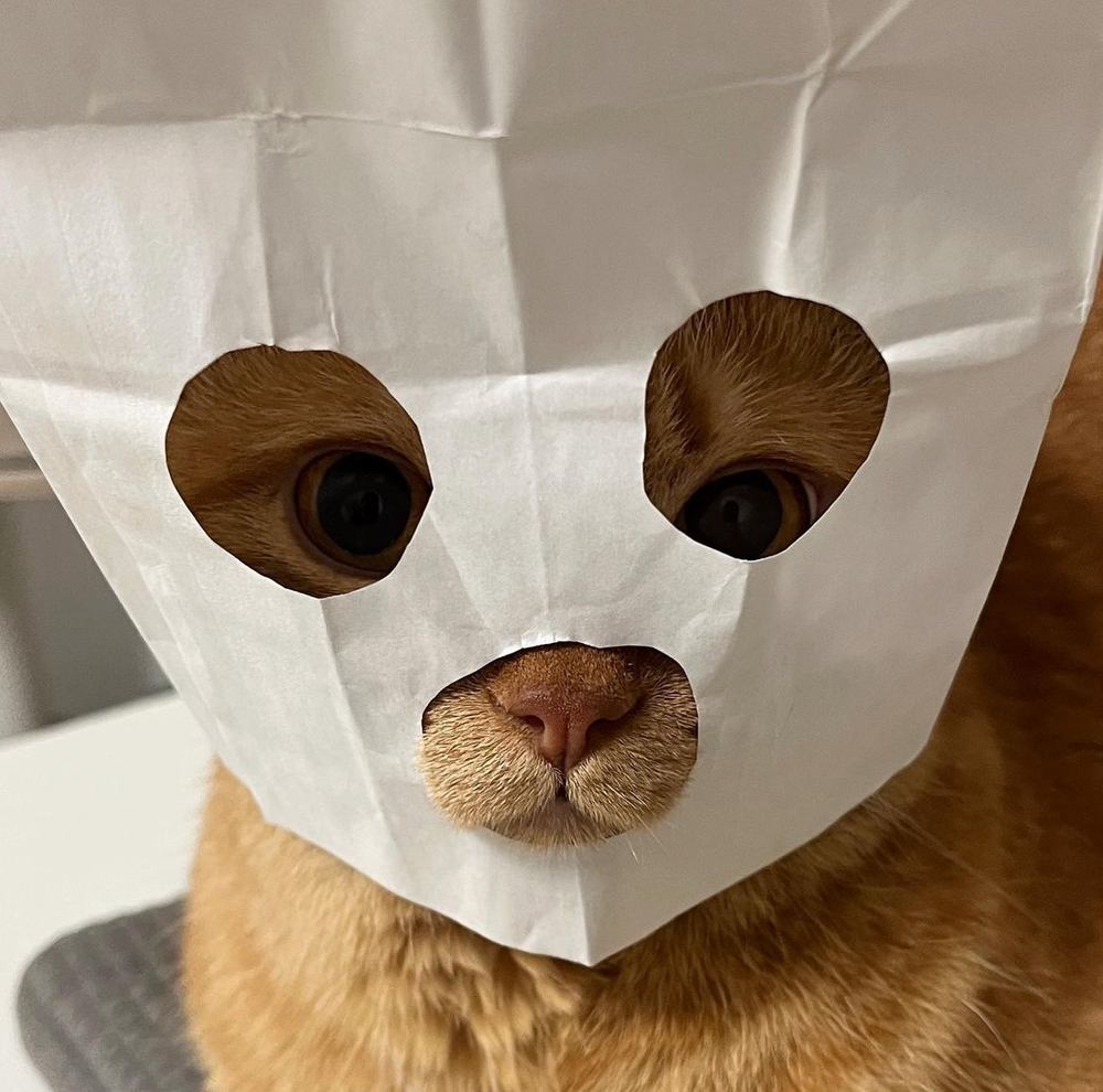 감쟈 (@du0ne) 님의 게시물 | KREAM