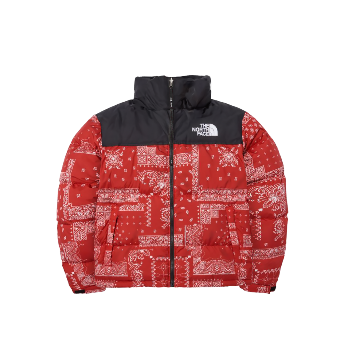 The North Face 1996 N... STYLE | KREAM