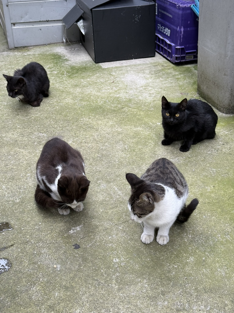 (@1004_im) 님의 게시물 | KREAM