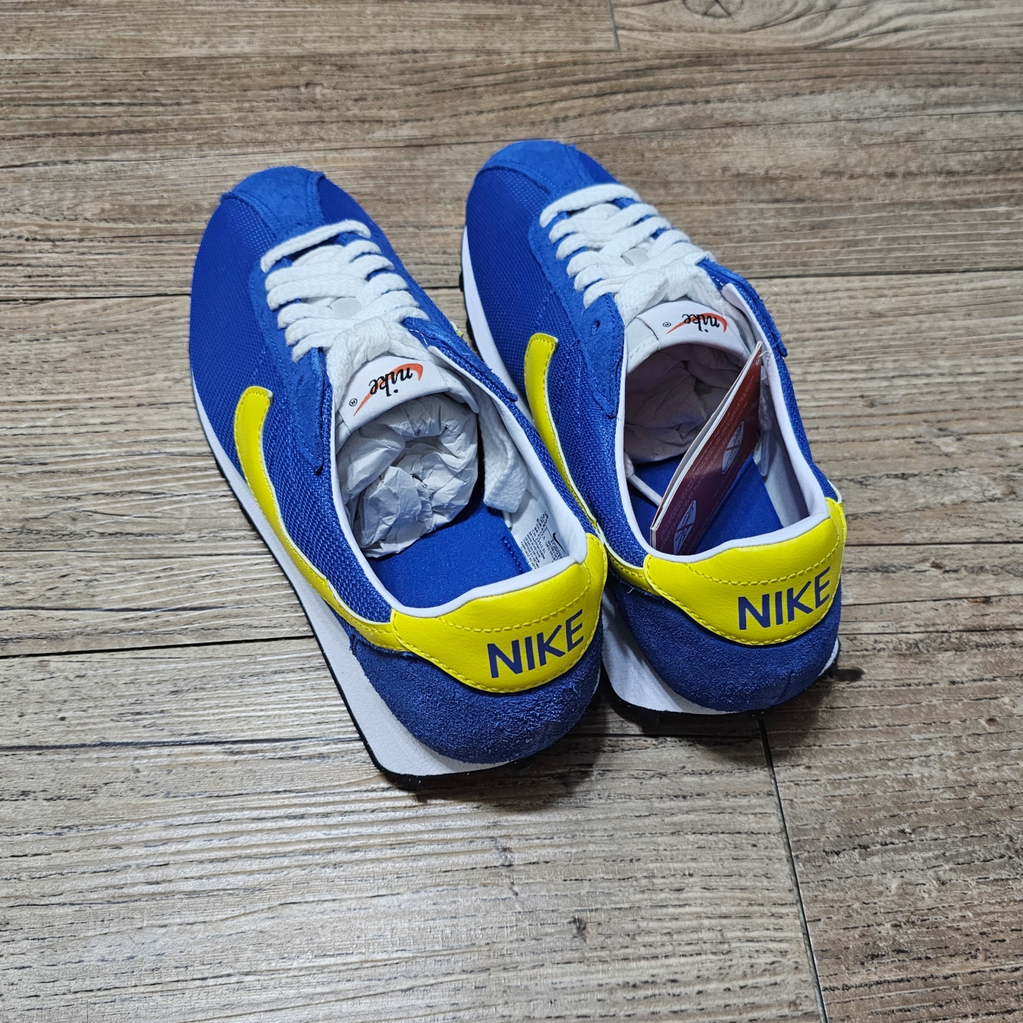 ld-1000파랭이 | KREAM