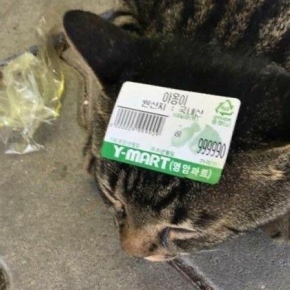 n r (@oxo_1004) 님의 게시물 | KREAM