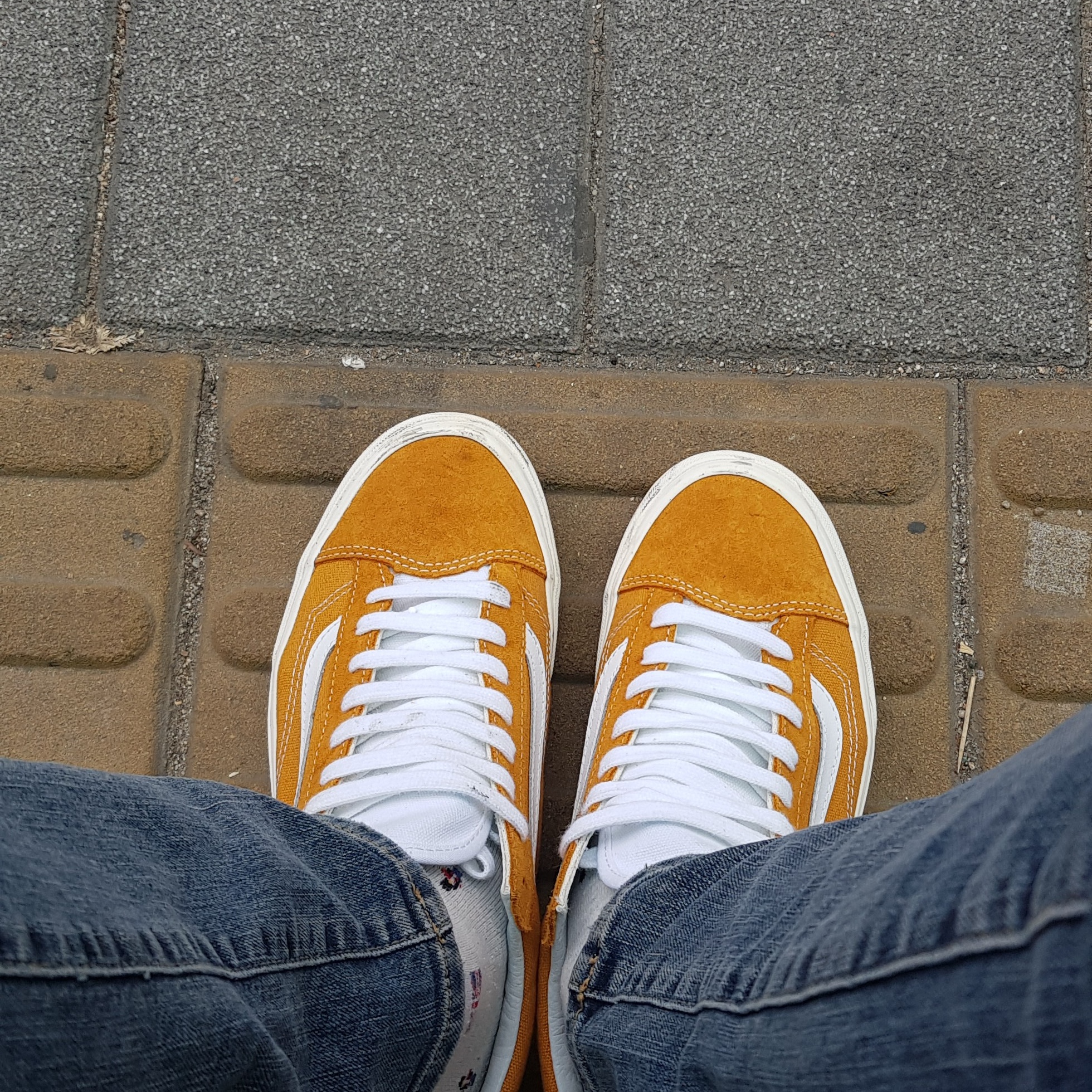 반스 스타일36 | KREAM