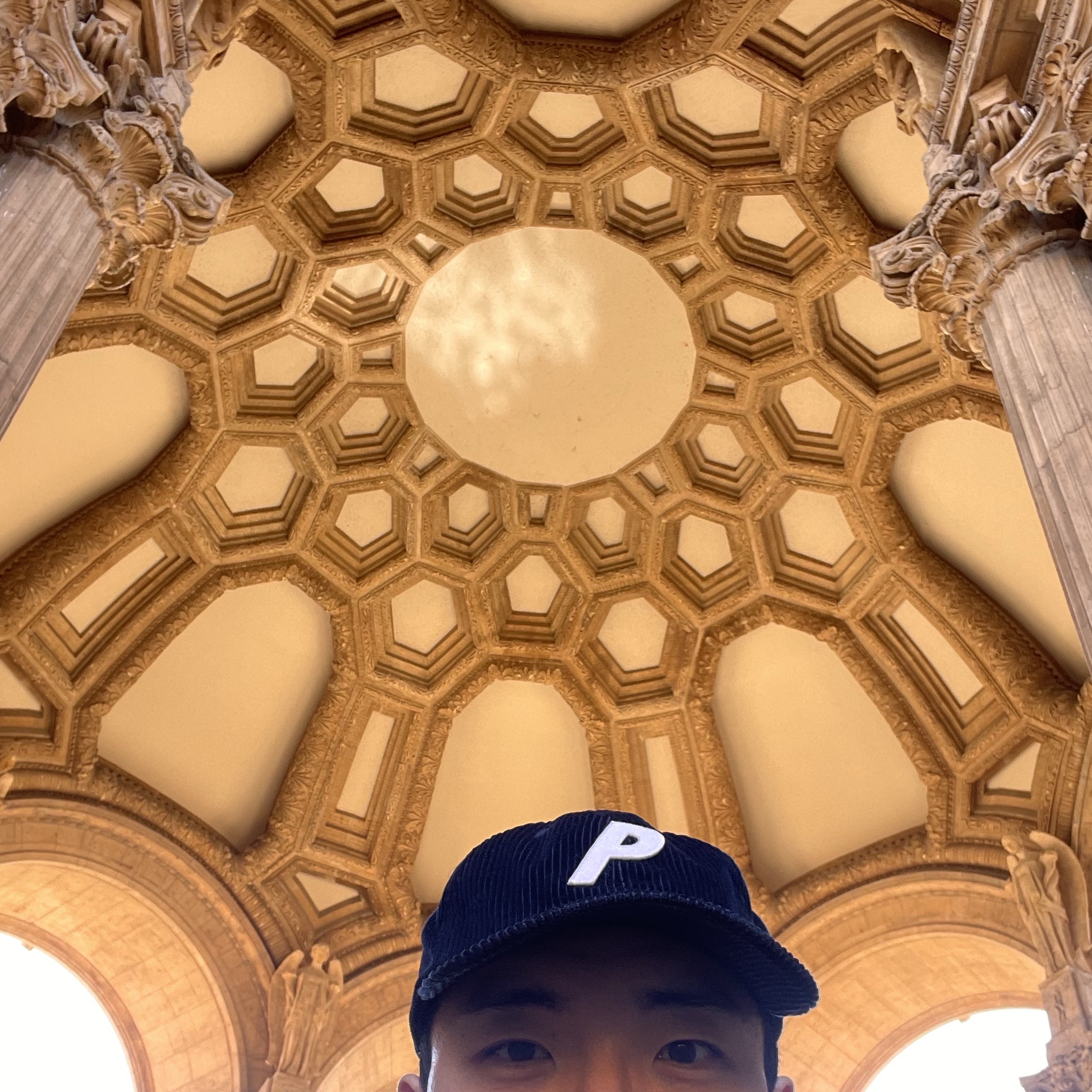 팔라스 입고 팔라스보기 | KREAM