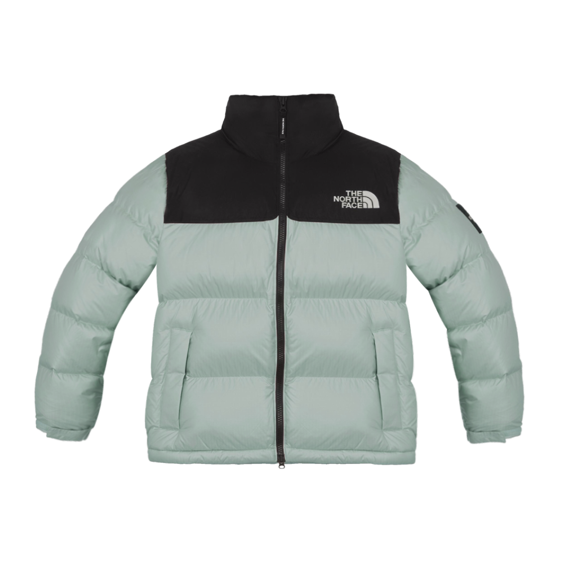 노스페이스 노벨티 눕시 RDS 다운 자켓 아보카도 - 24FW | The North Face | KREAM