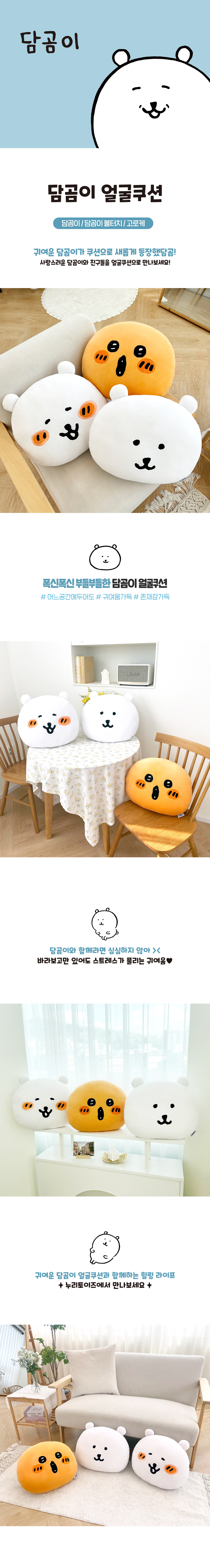 농담곰 얼굴쿠션 담곰이 볼터치 | Damgome | KREAM