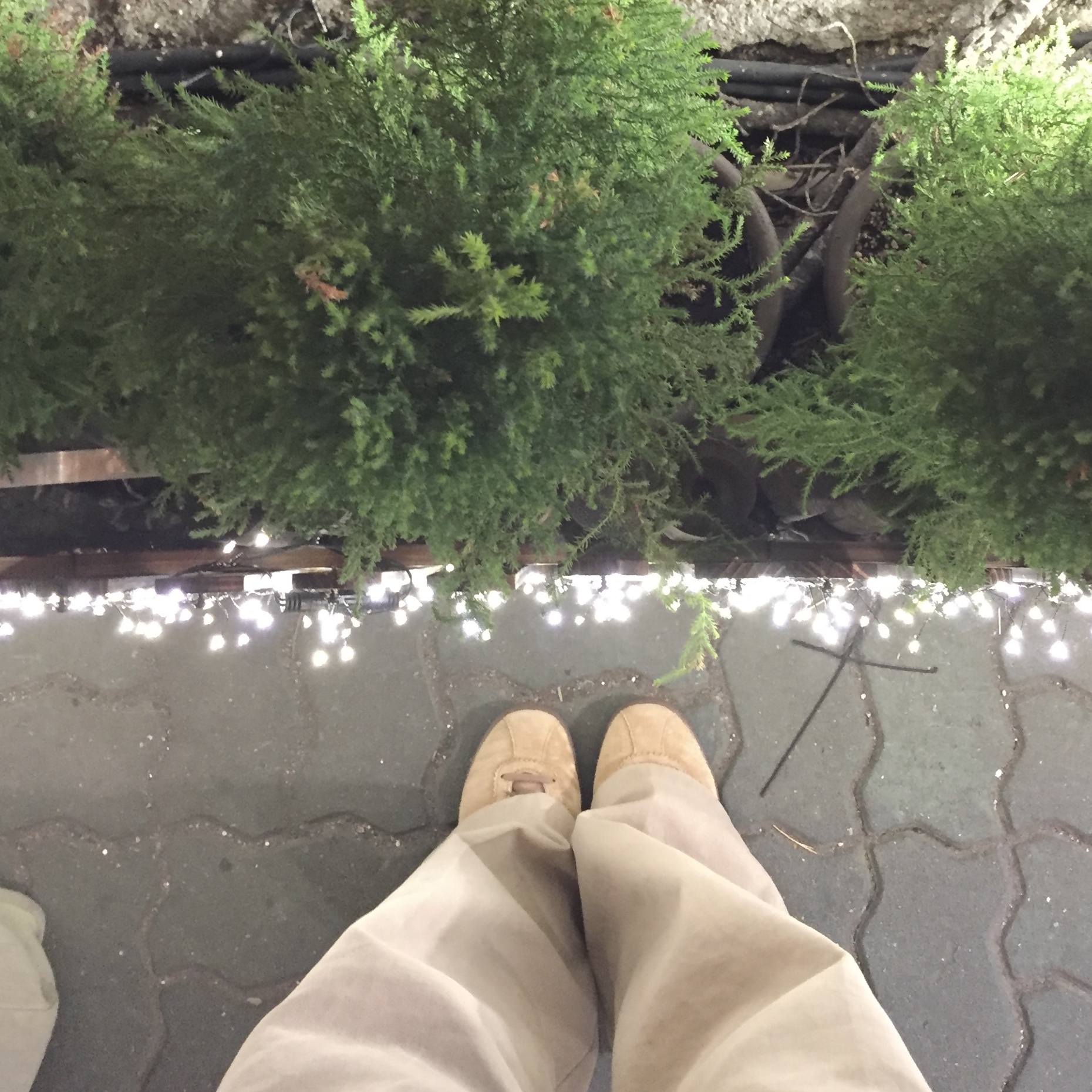 한별 (@hb_0522) 님의 게시물 | KREAM