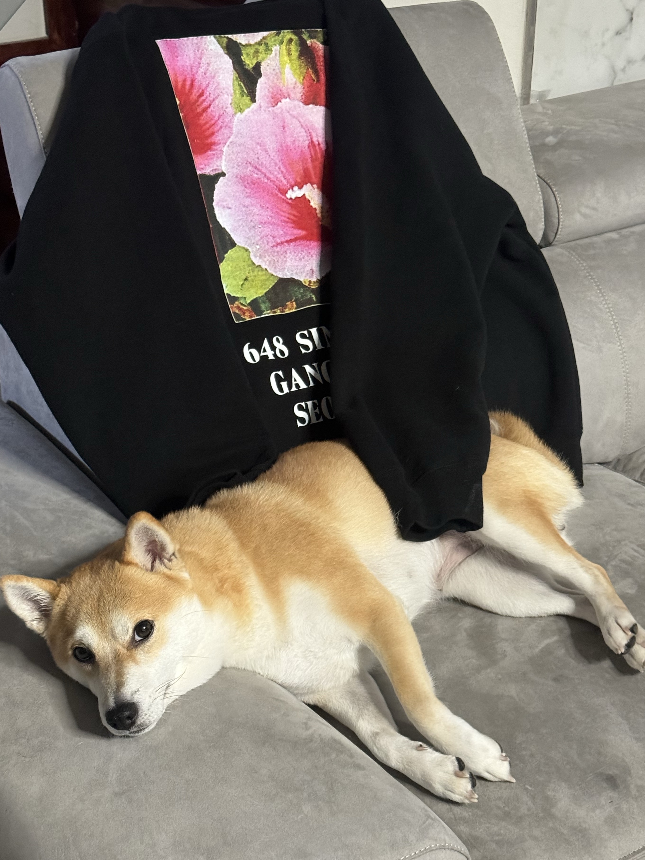 (@ddzz1004) 님의 게시물 | KREAM