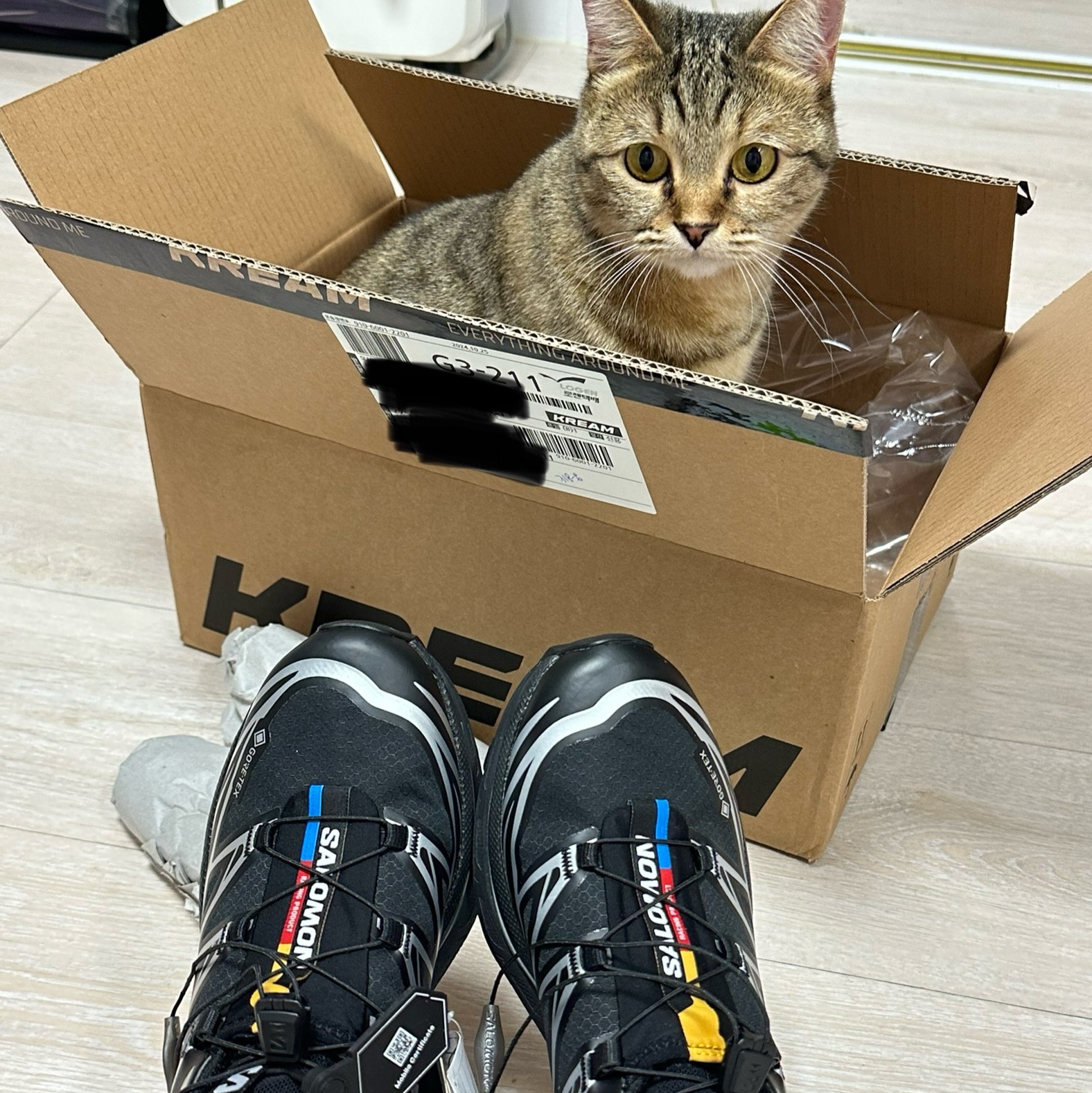 tkfkd5715 (@a2cvd3) 님의 게시물 | KREAM