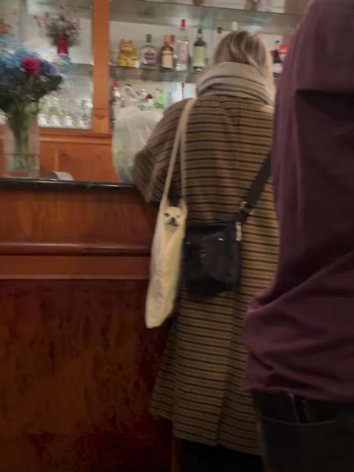 2025 신발장 {*.*} | KREAM